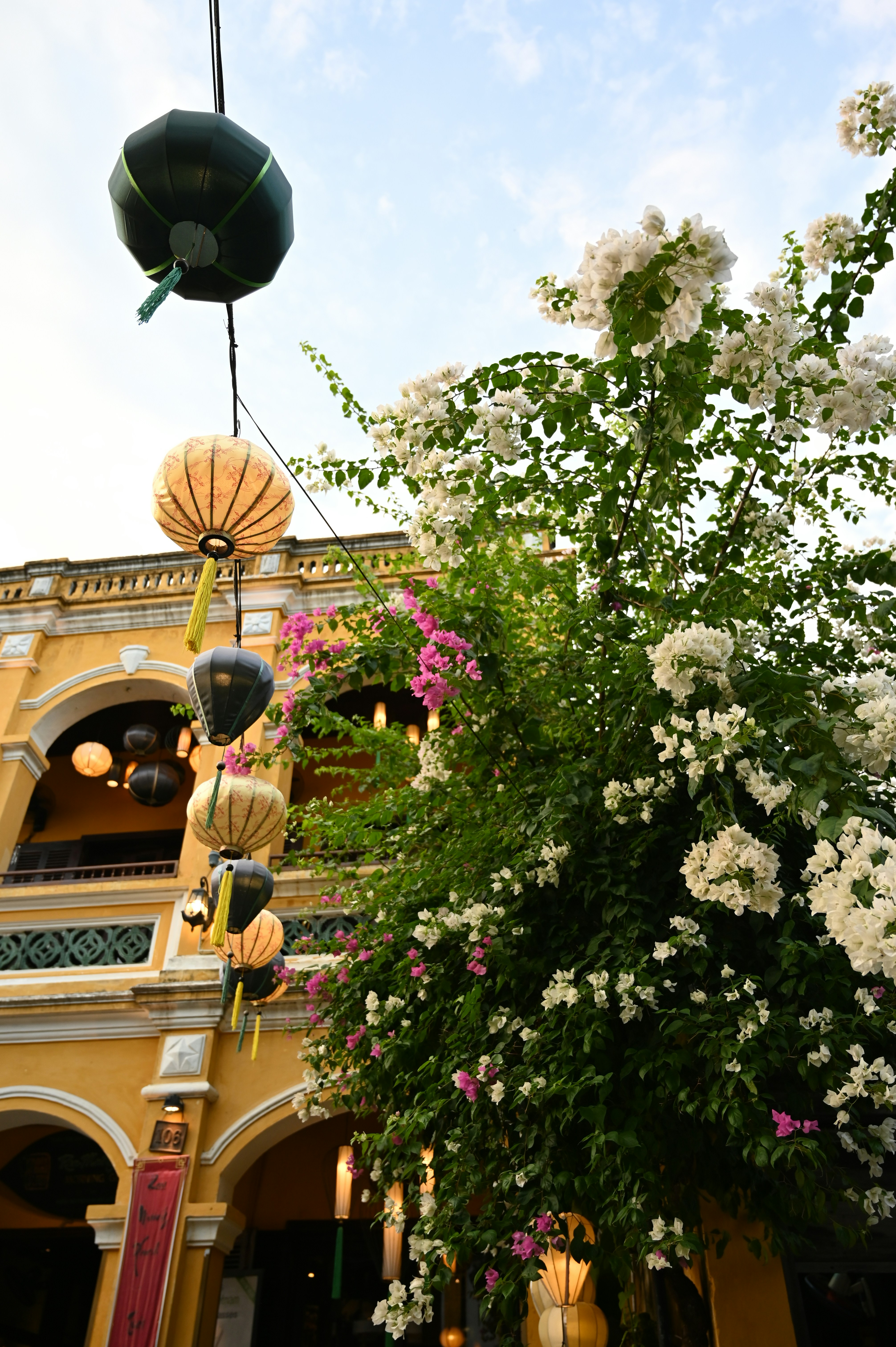 Lantern Parade Beneath Bougainvillea and Blossoms