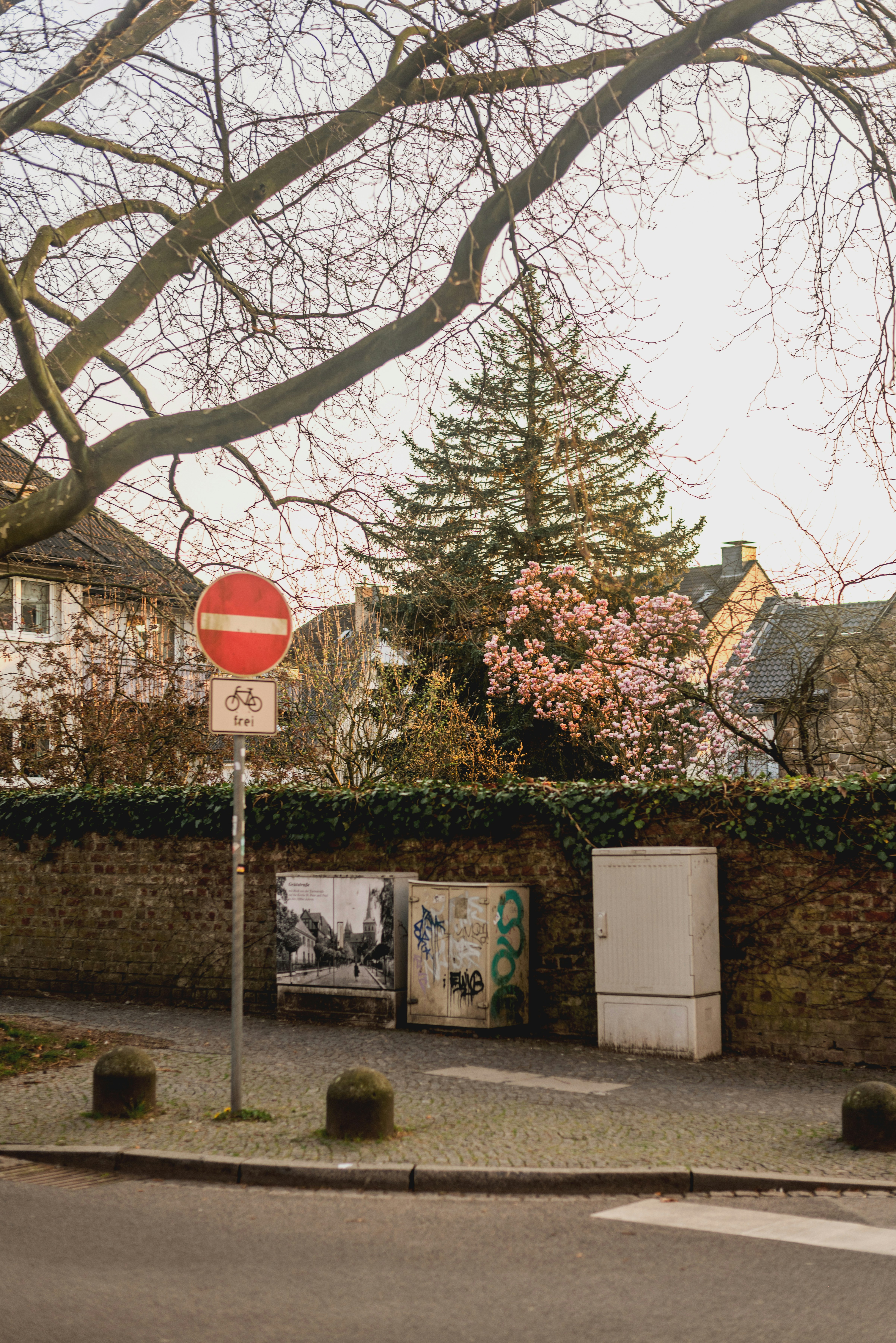 No Entry Sign Near Blossoming Trees by a Cobblestone Street