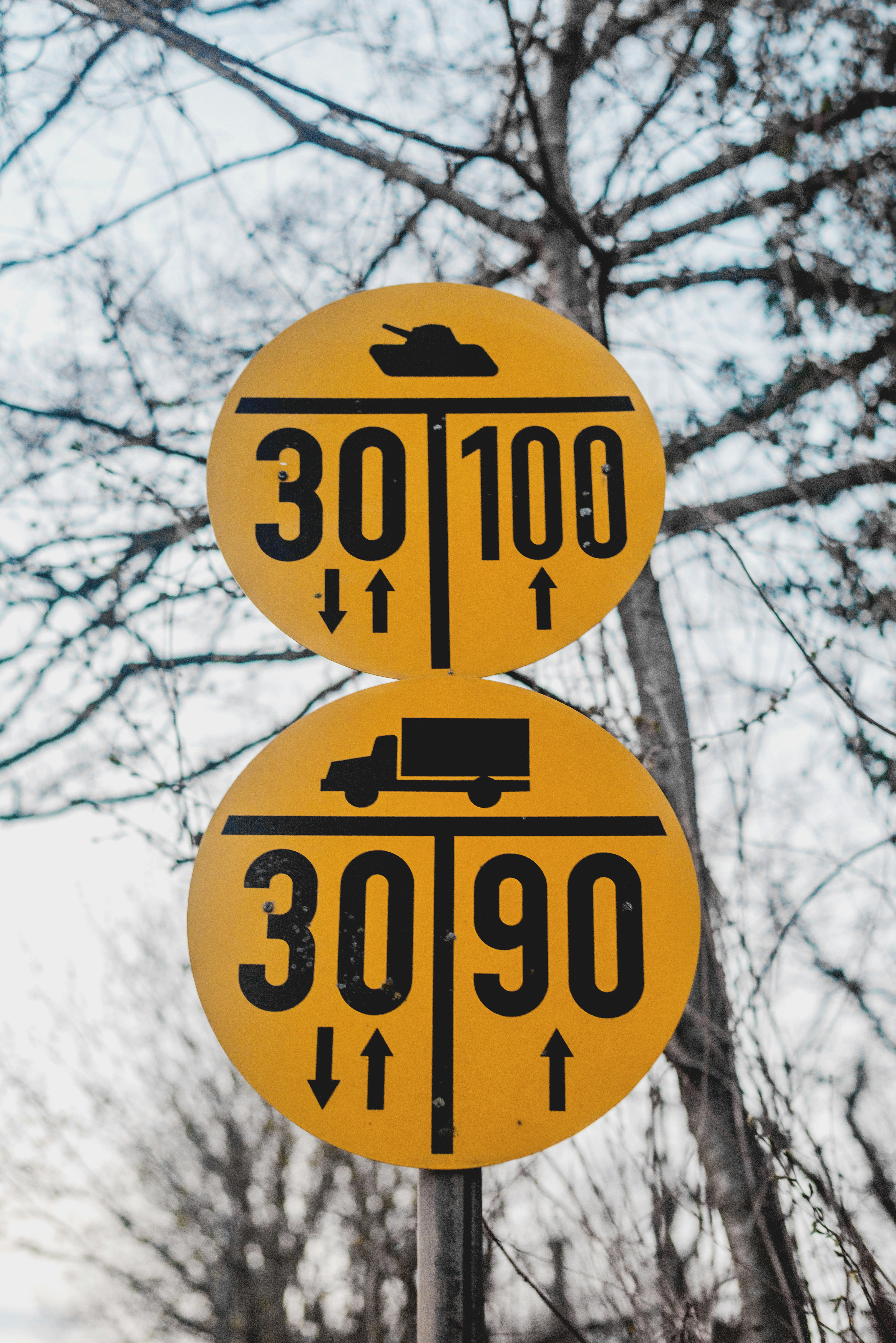 Yellow Sign Duo: Truck and Tank Icons Framed by Winter Bare Branches