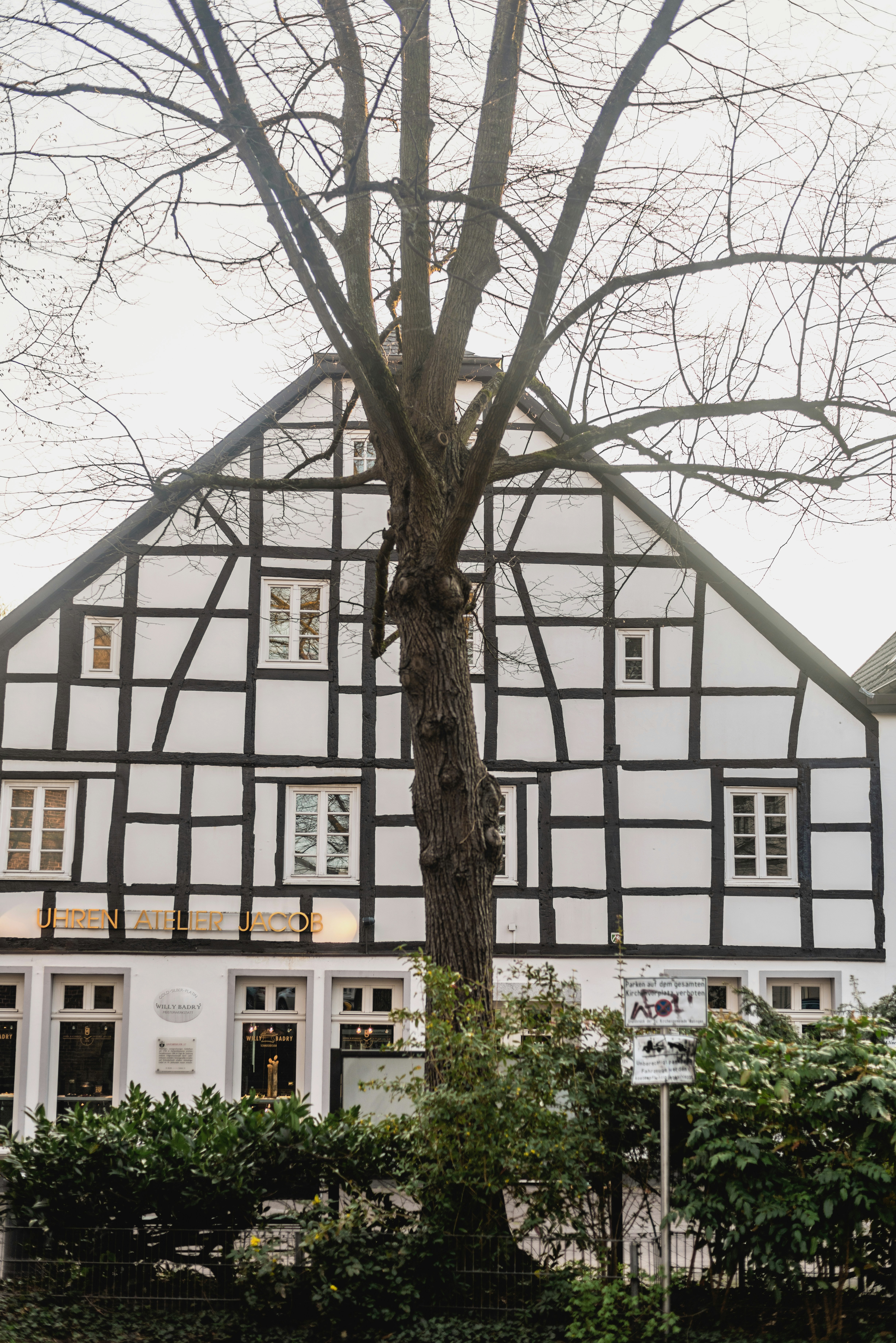 Tree Framed by a Timeless Half-Timbered House