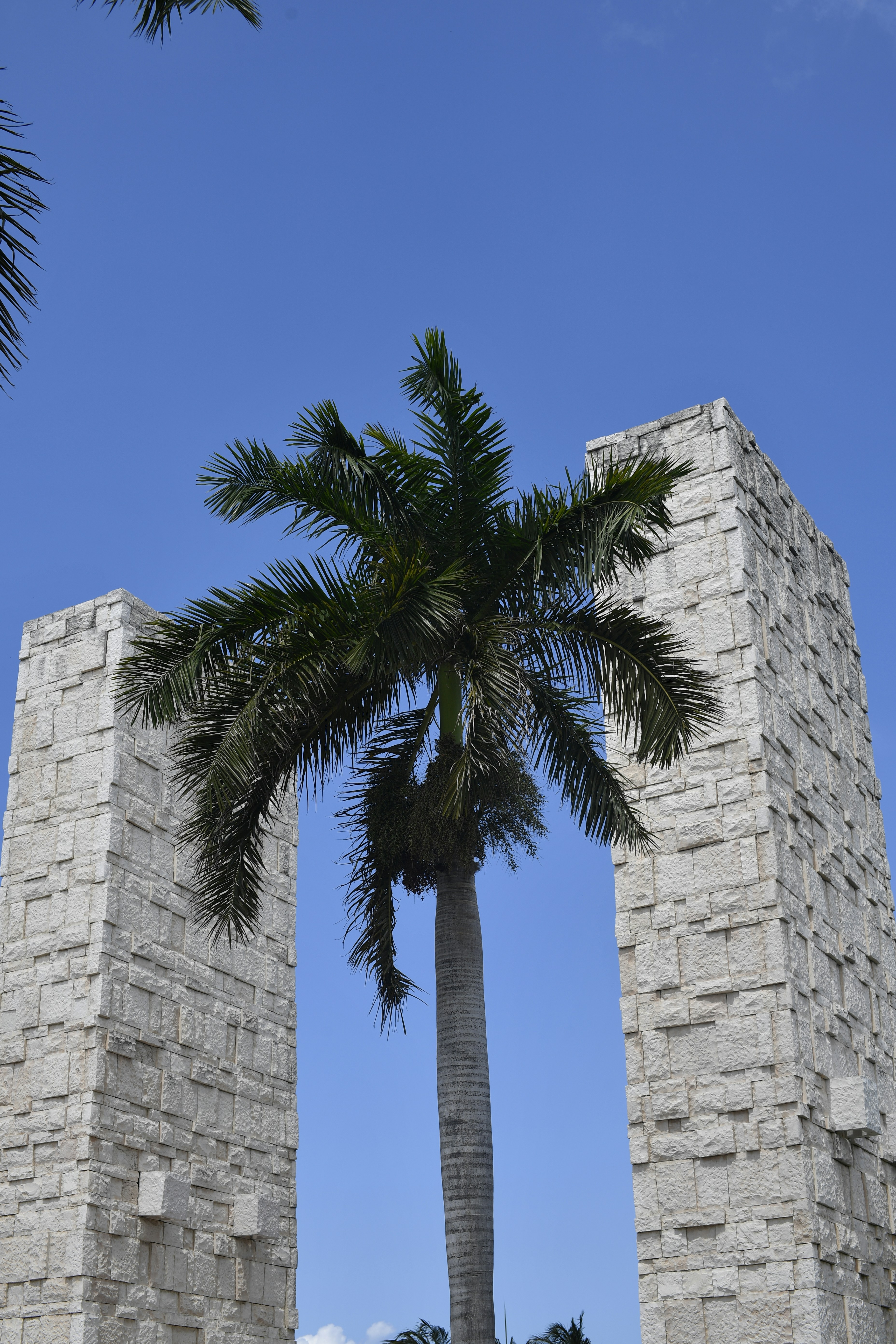 Gateway to Sky: Palm Between Stone Arches