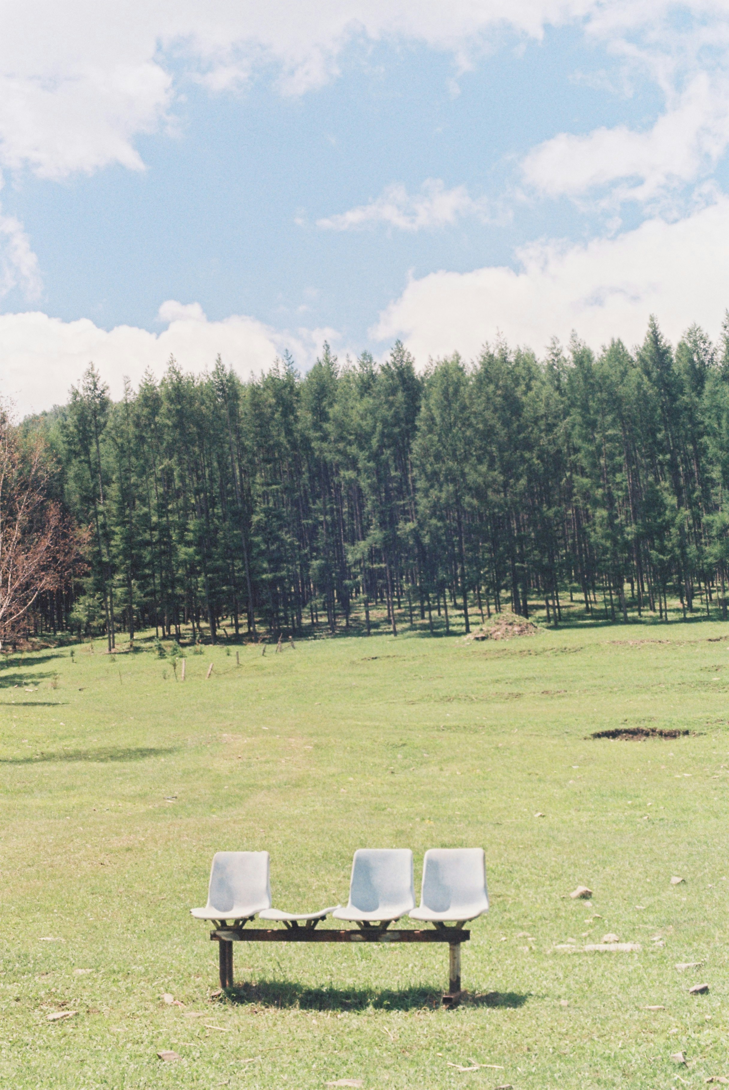 Three White Seats Quietly Facing a Green Field