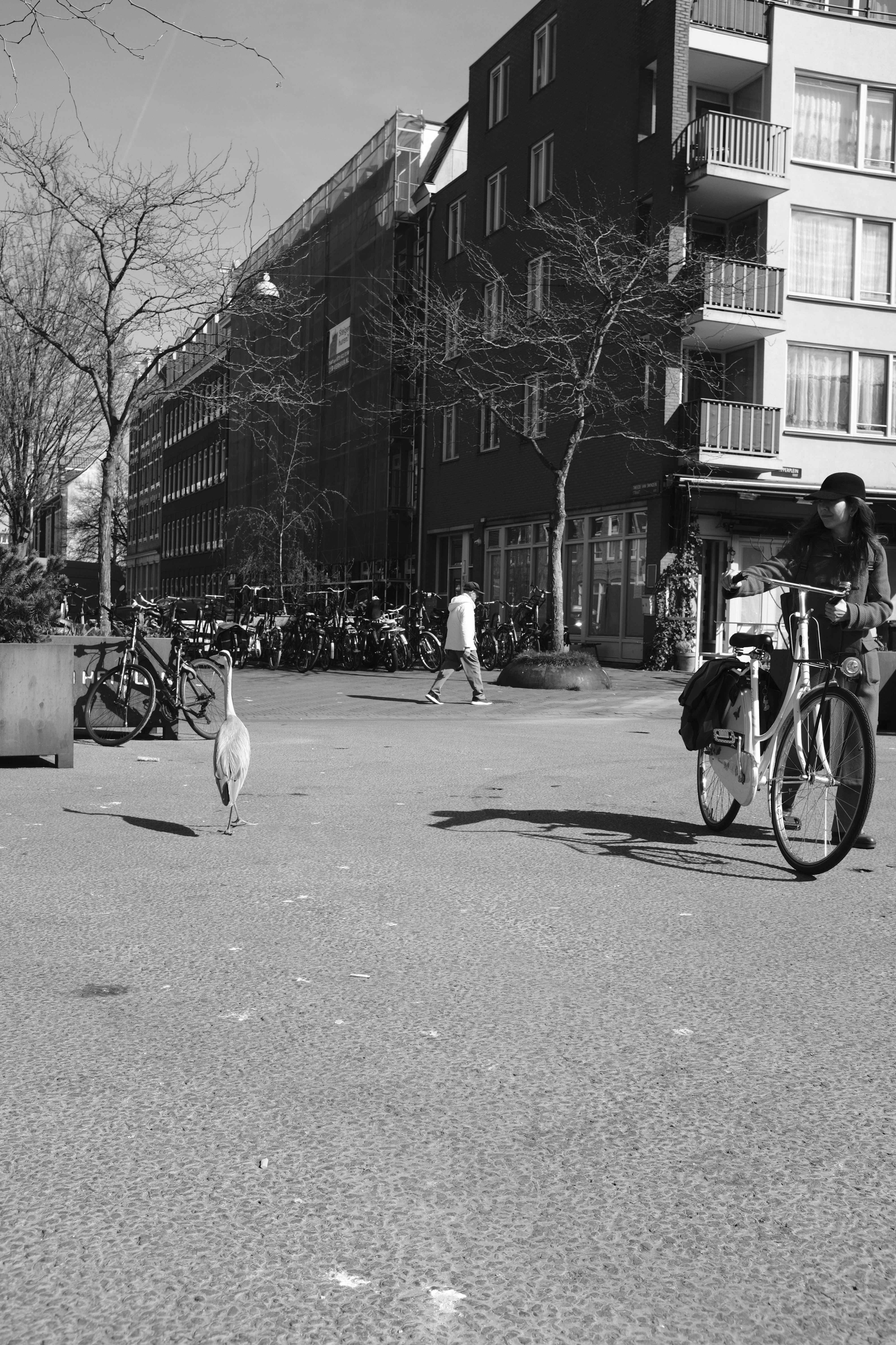 Urban Serenade: A Cyclist, a Crane, and Quiet Movement