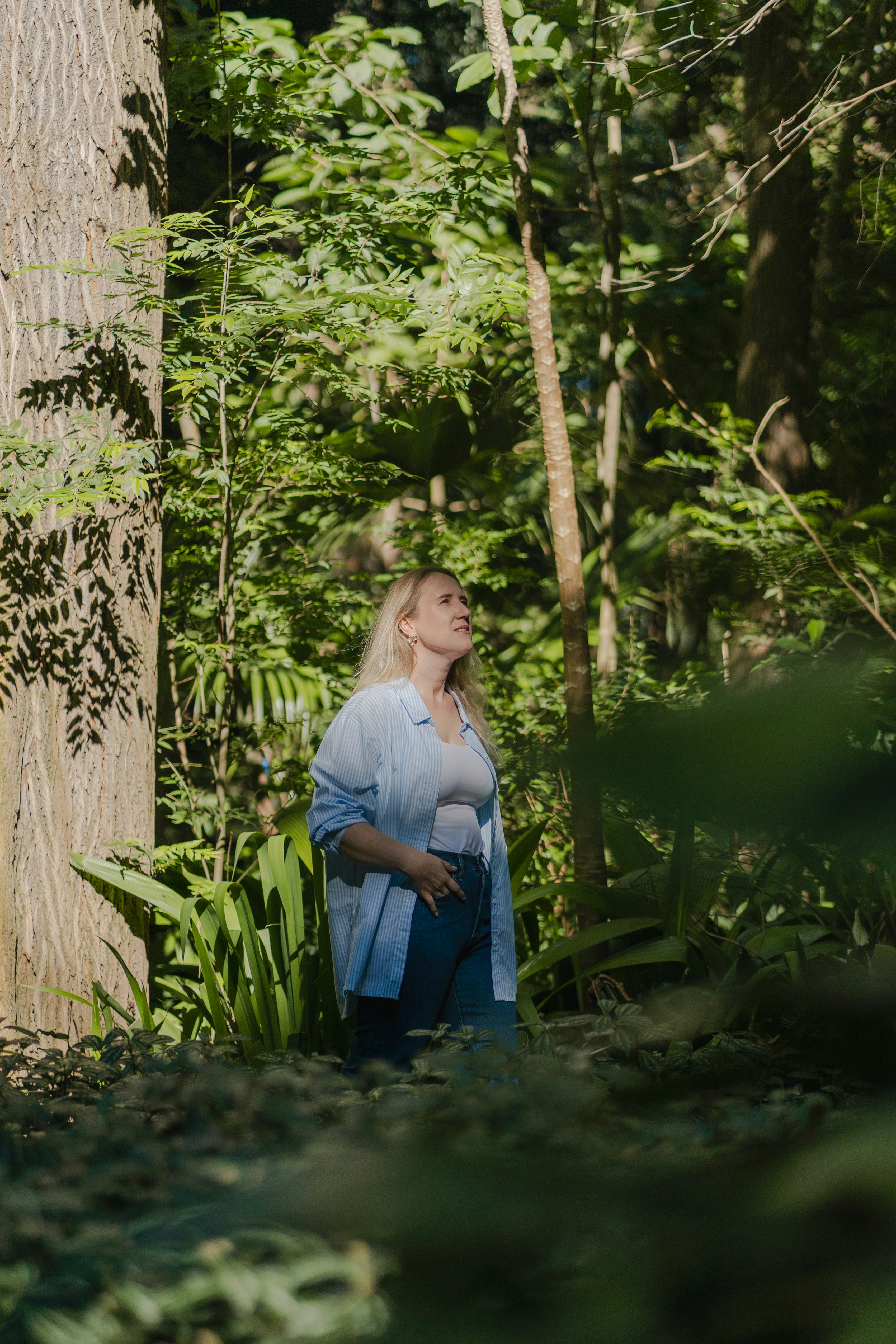 Light in the Leaves: A Portrait Transformed by Forest Dapple