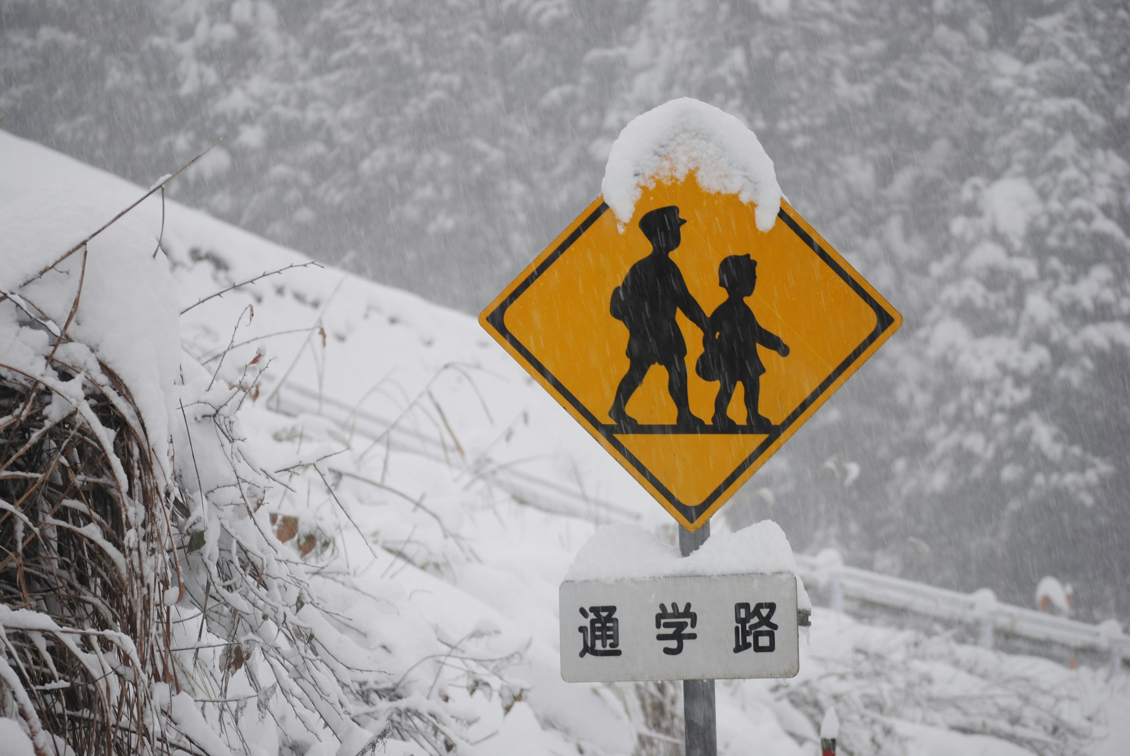 Snowy Crossing: Children Sign in a Quiet Winter Drift