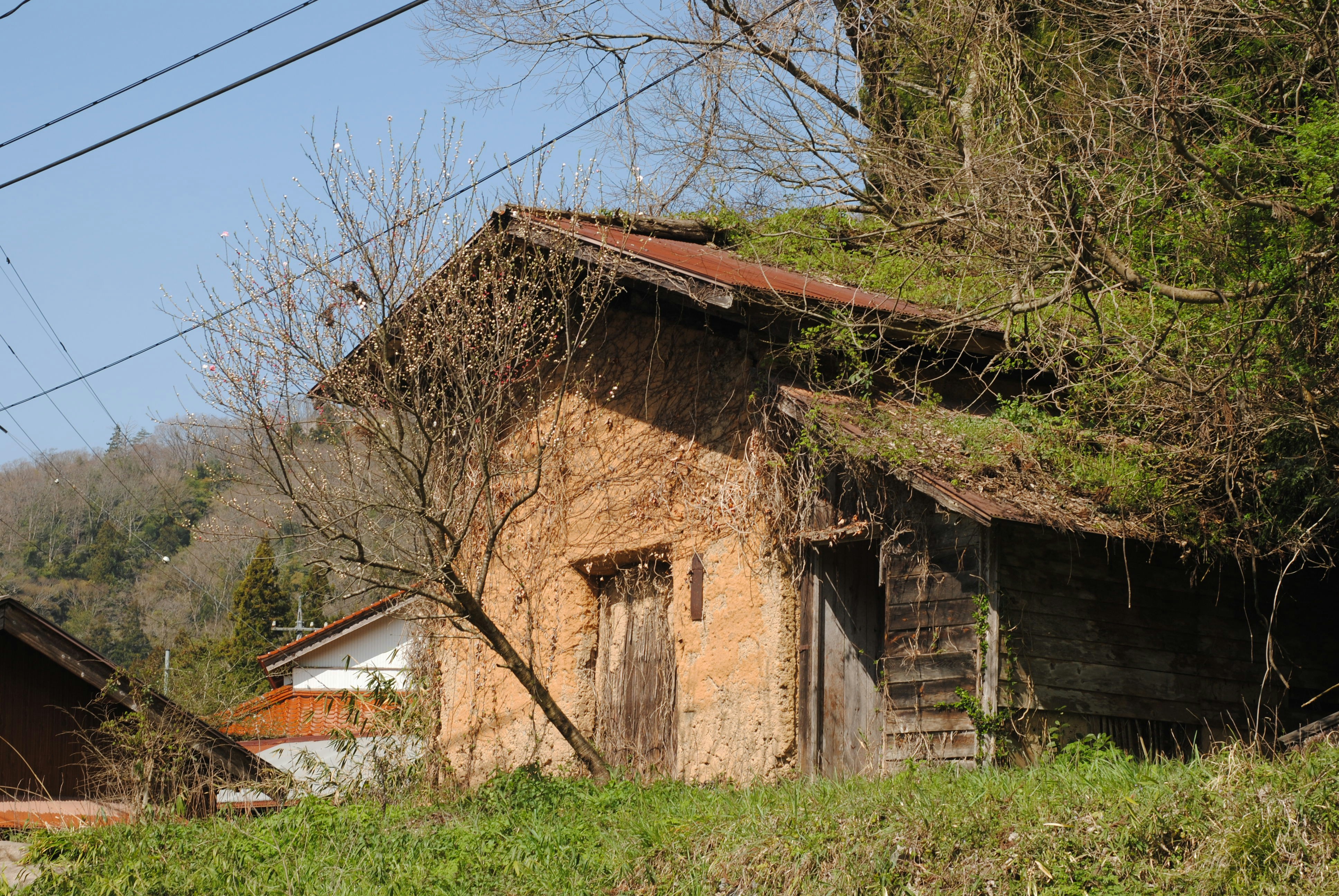 Sunlit Farmhouse on a Gentle Slope