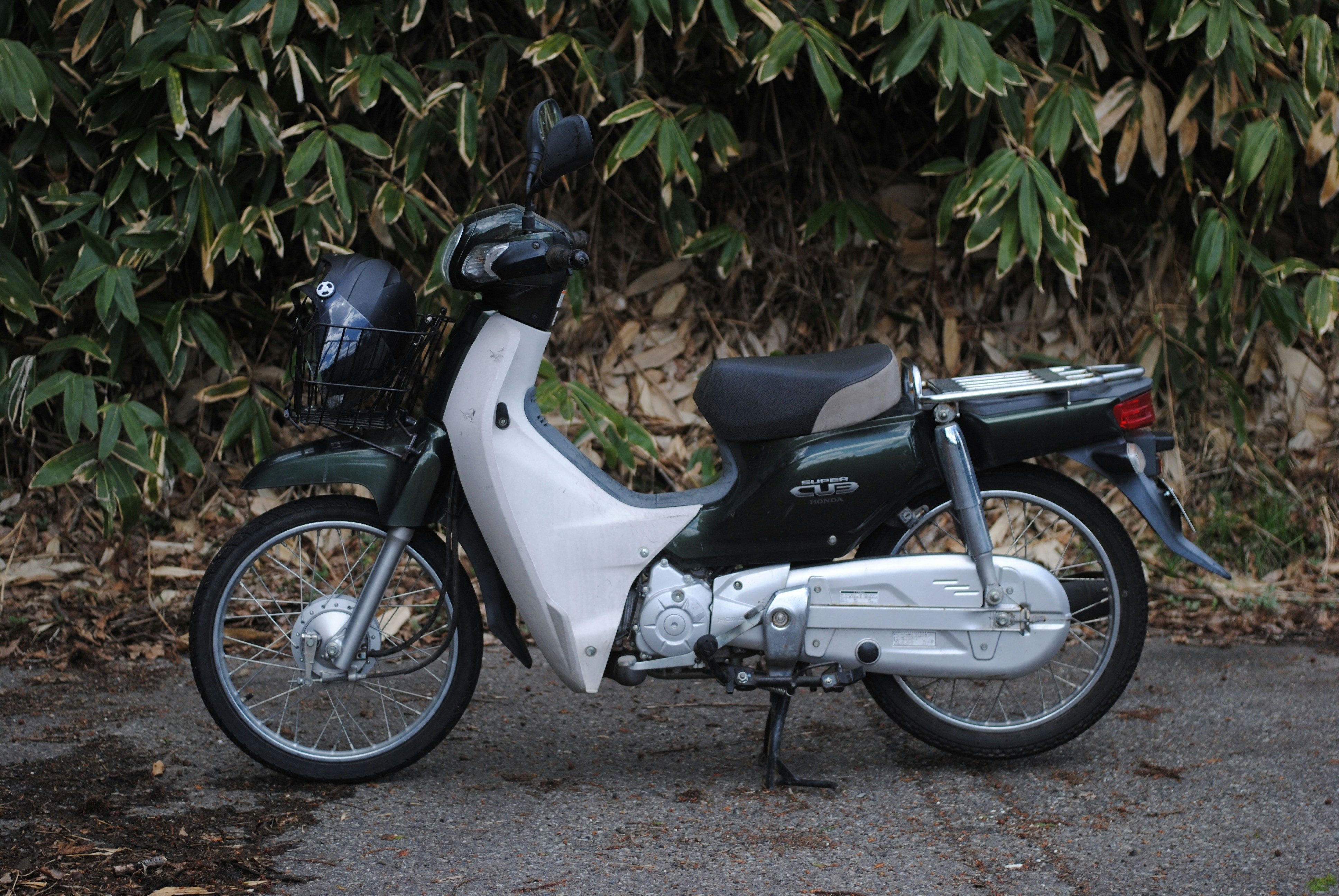 Midday Quiet: A Silver Scooter Resting by Leafy Hedge