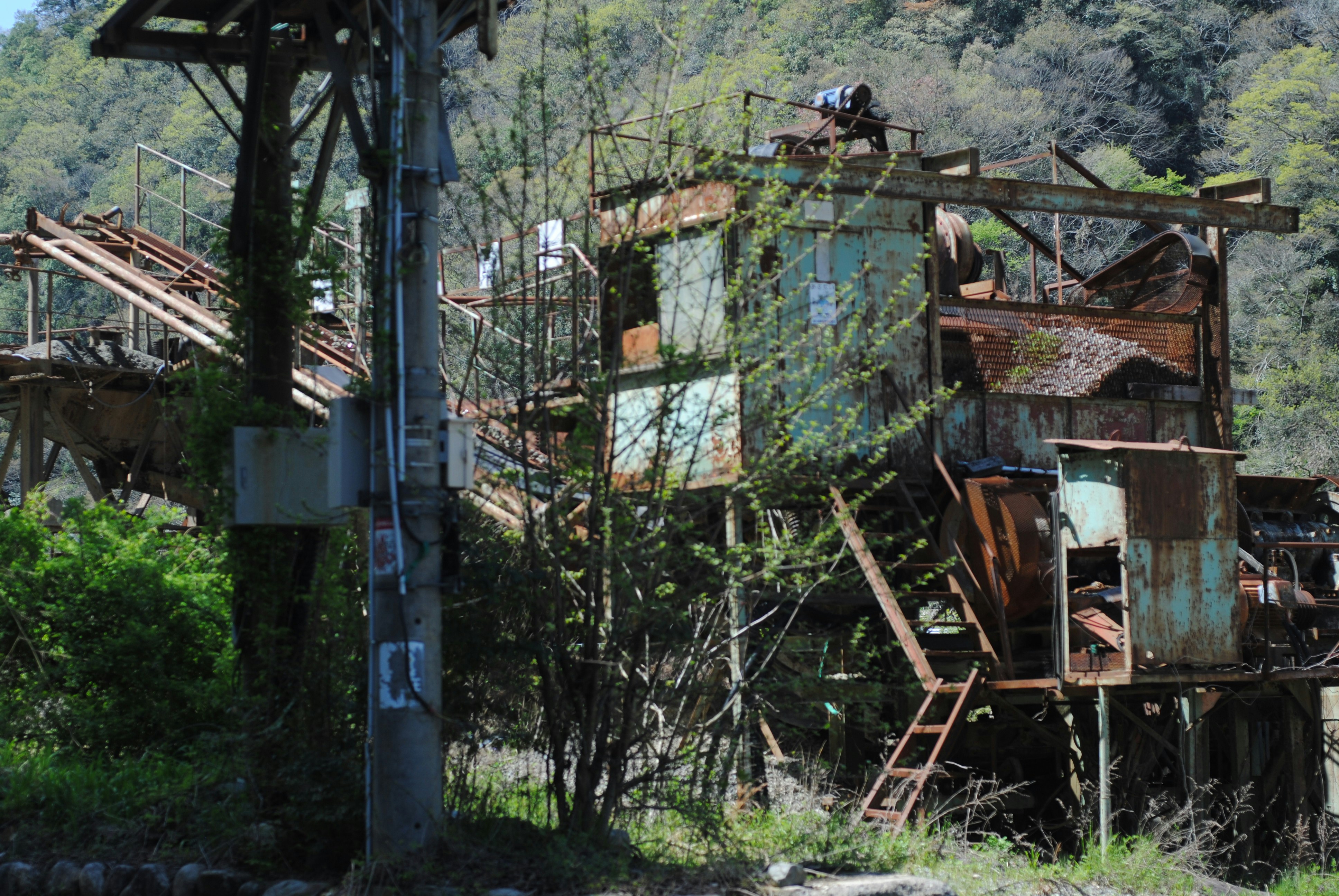 Rusting Monolith: an abandoned industrial ruin swallowed by woodland