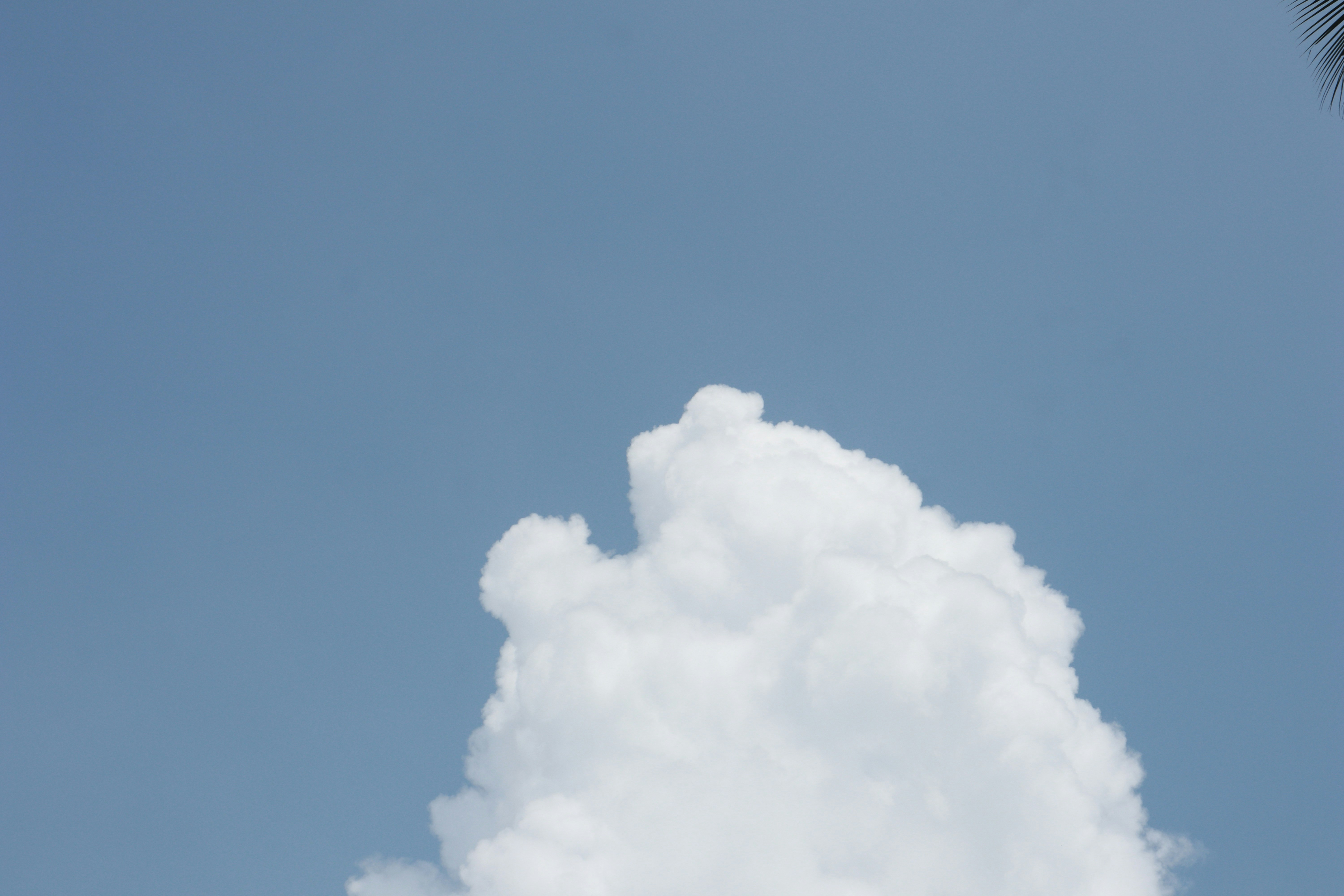Bright white cloud mass rises against a calm blue sky, occupying the lower portion of the frame and serving as the primary subject.