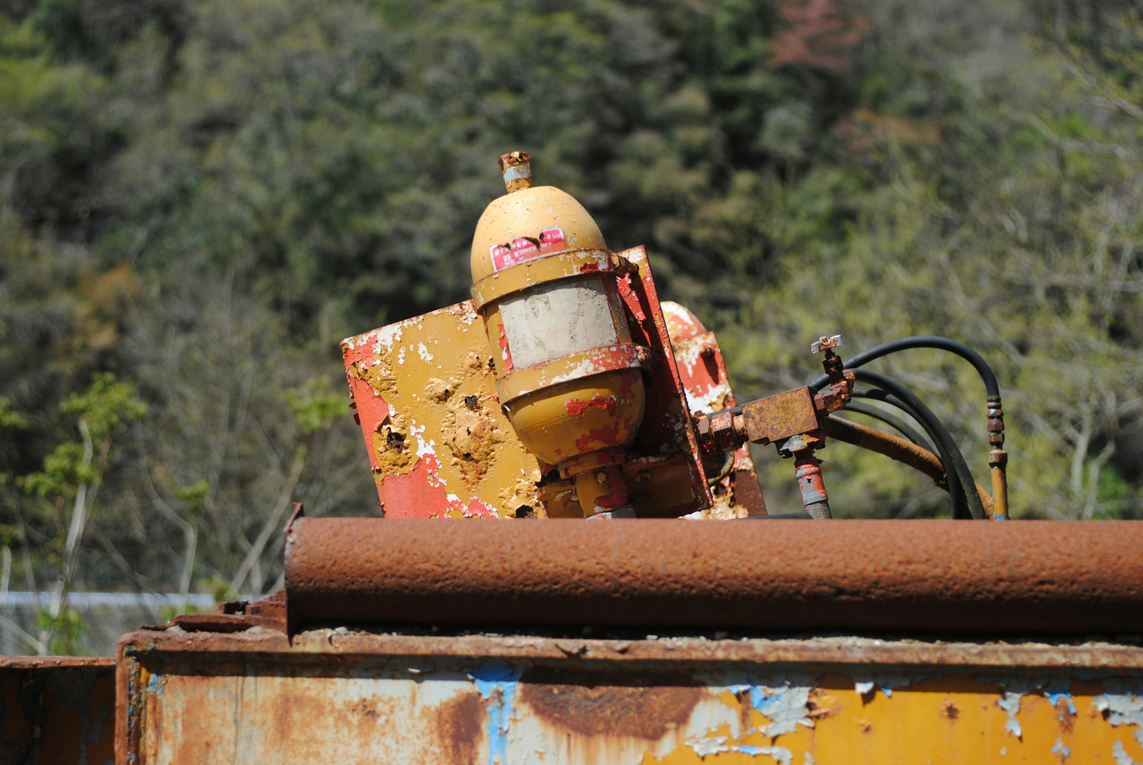 Rusted Mechanism: Weathered Controls in a Forest Glade