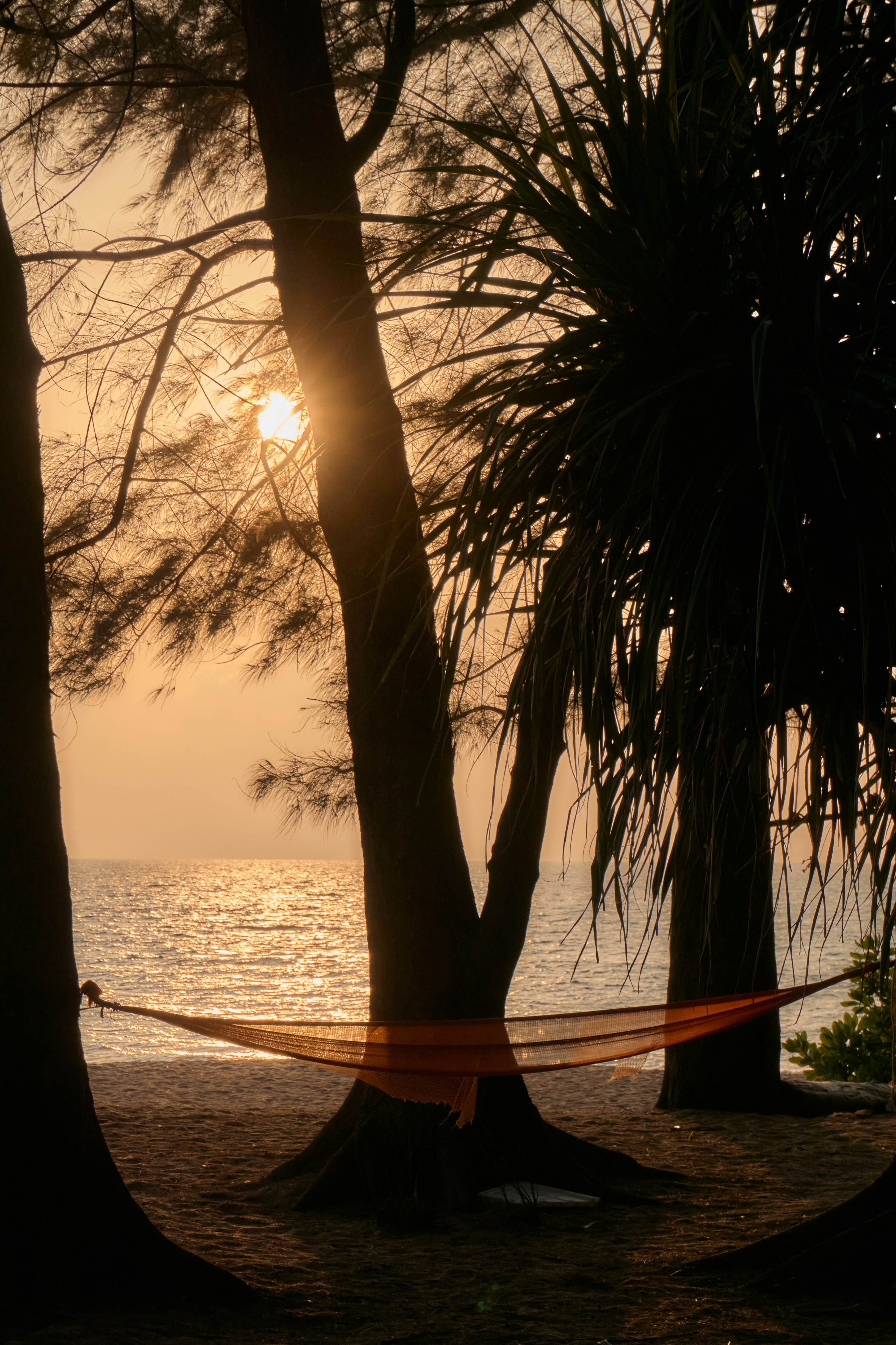 Twilight Hammock: Sunlit Silhouette Between Trees by the Sea