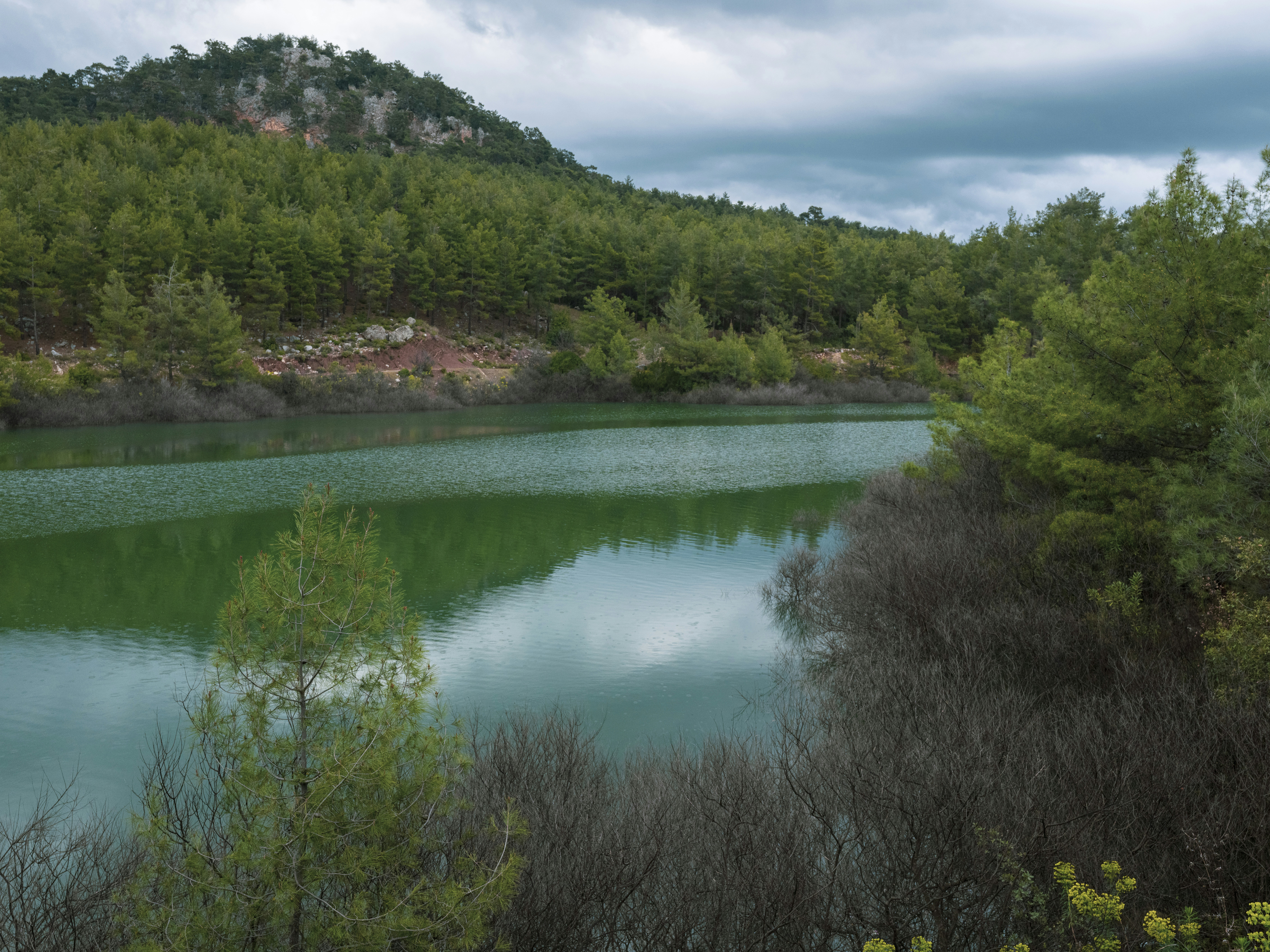 Emerald Waters Fringed by Pine and Brush