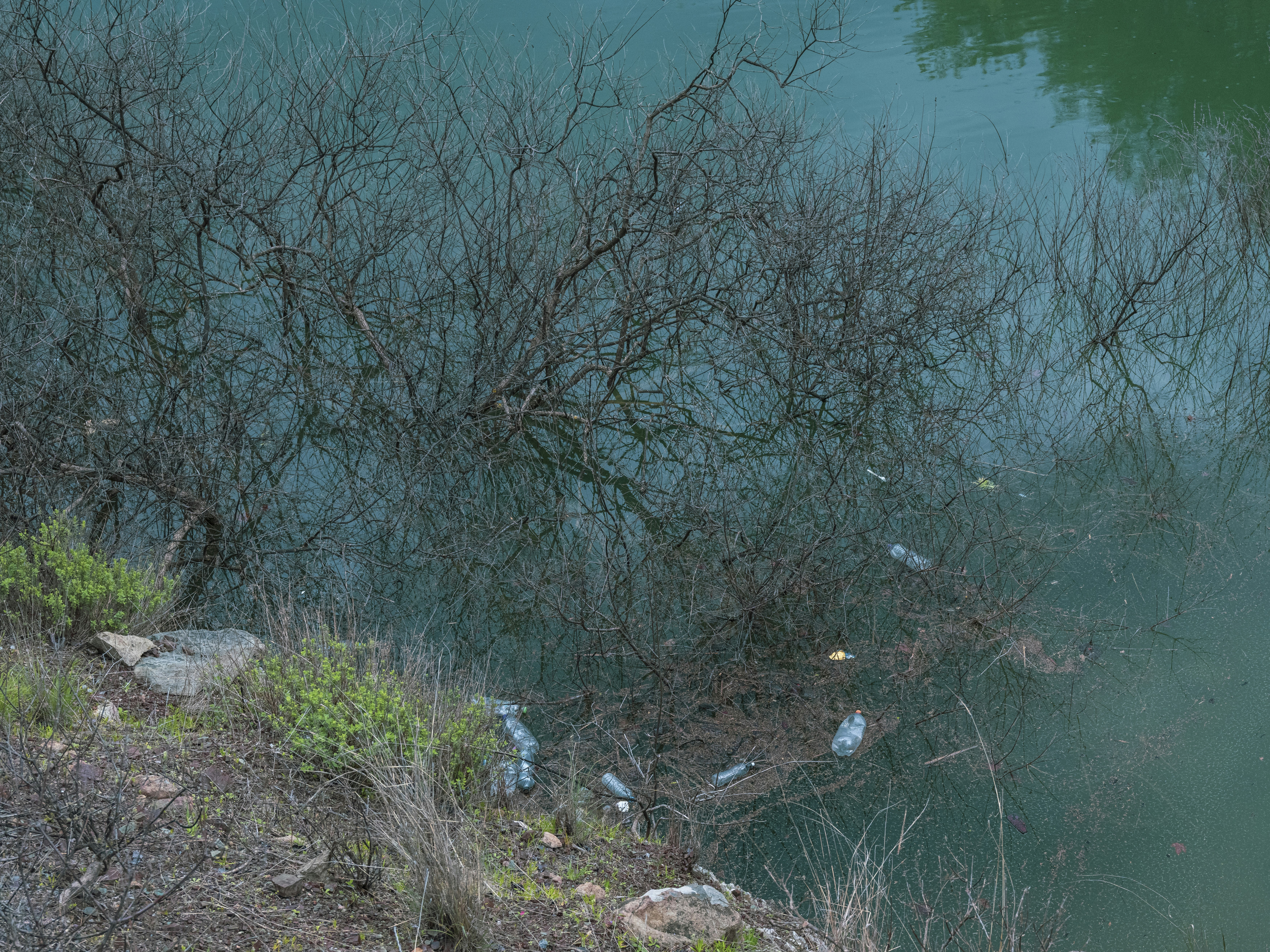 Waste by the Water: A Quiet Shoreline with Detritus and Sparse Vegetation