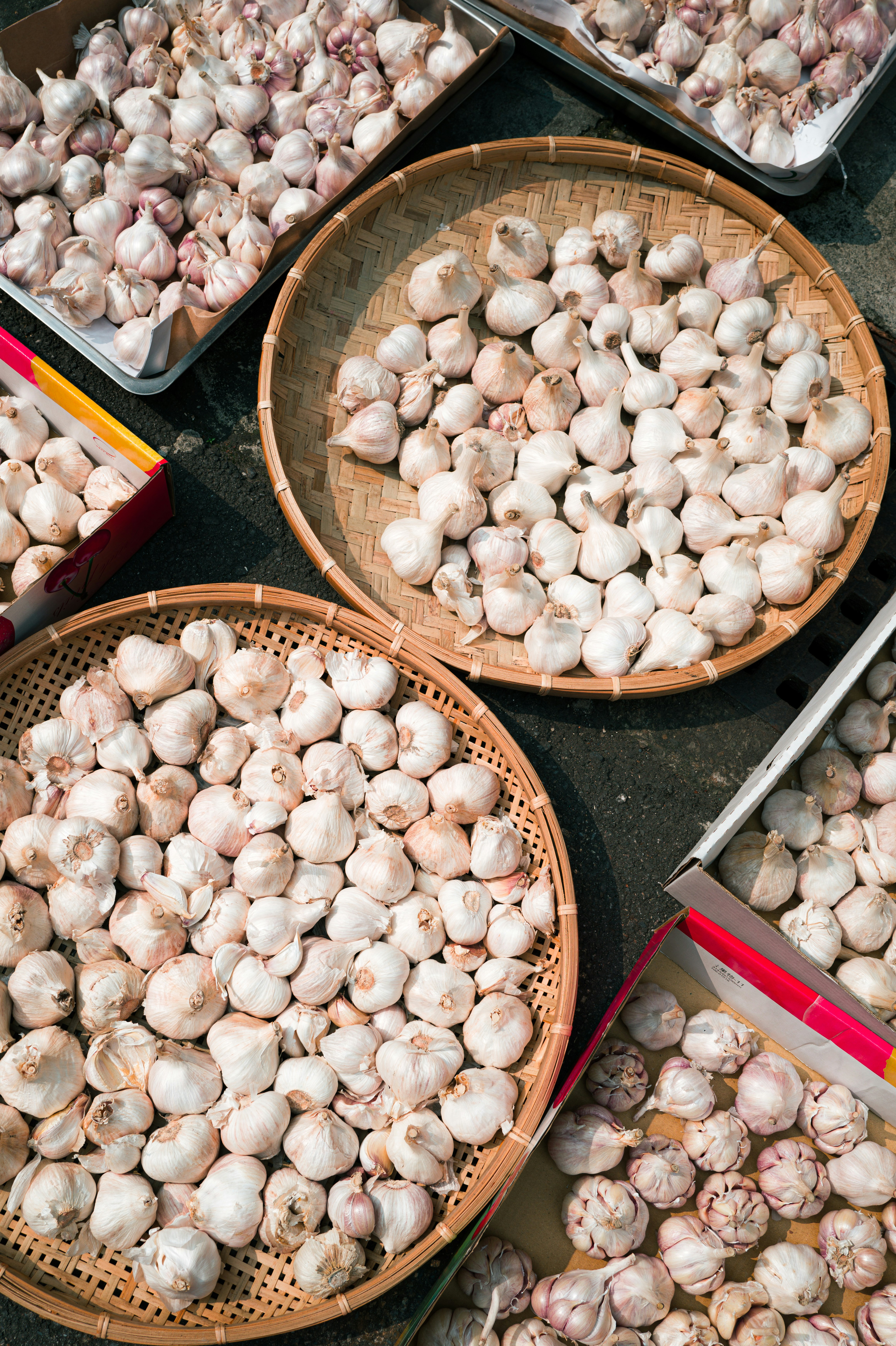 Basketful of White Gold: Garlic Bunches Drying Under Market Light