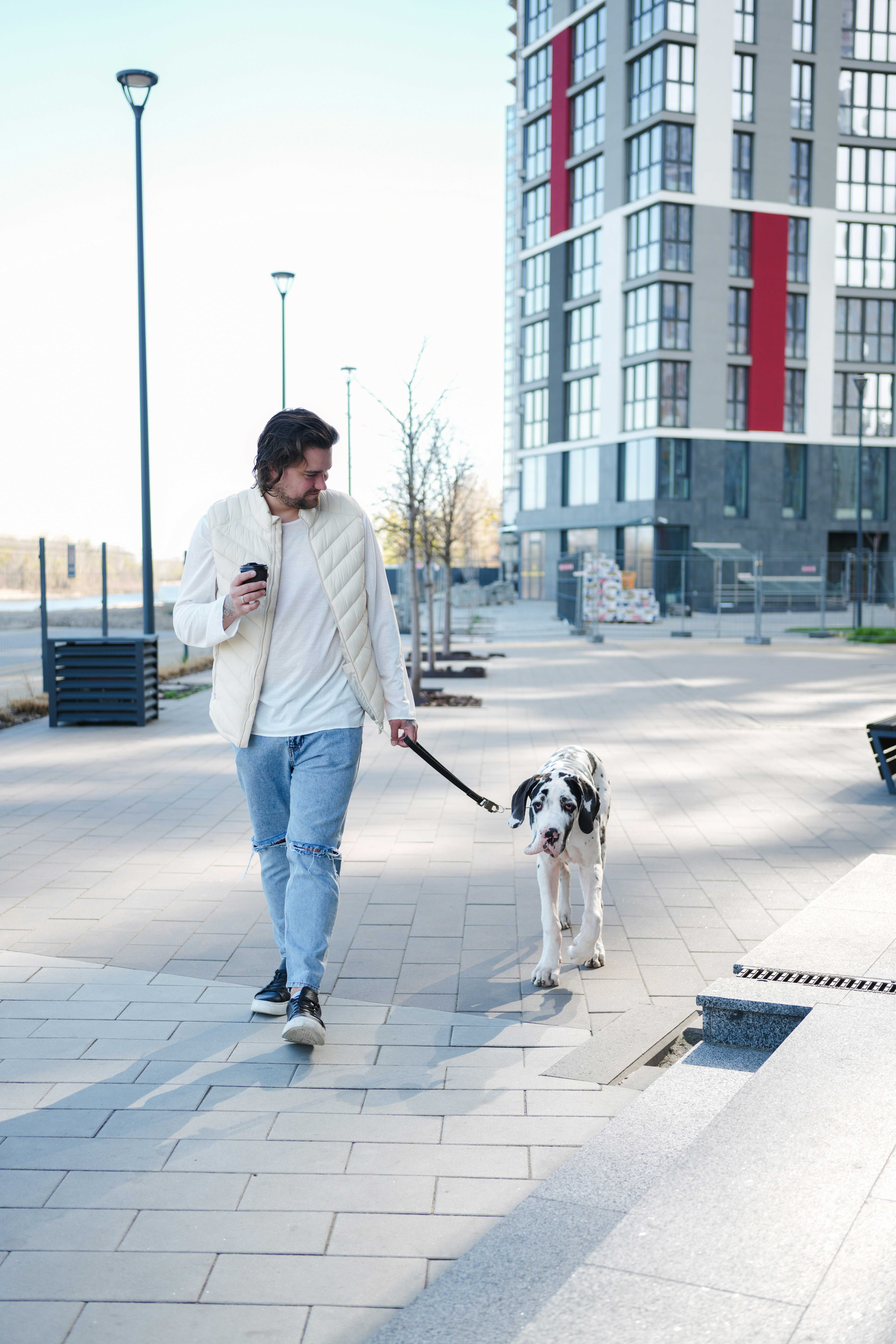 Strolling with a Leash: Cityscape Walk and Wag
