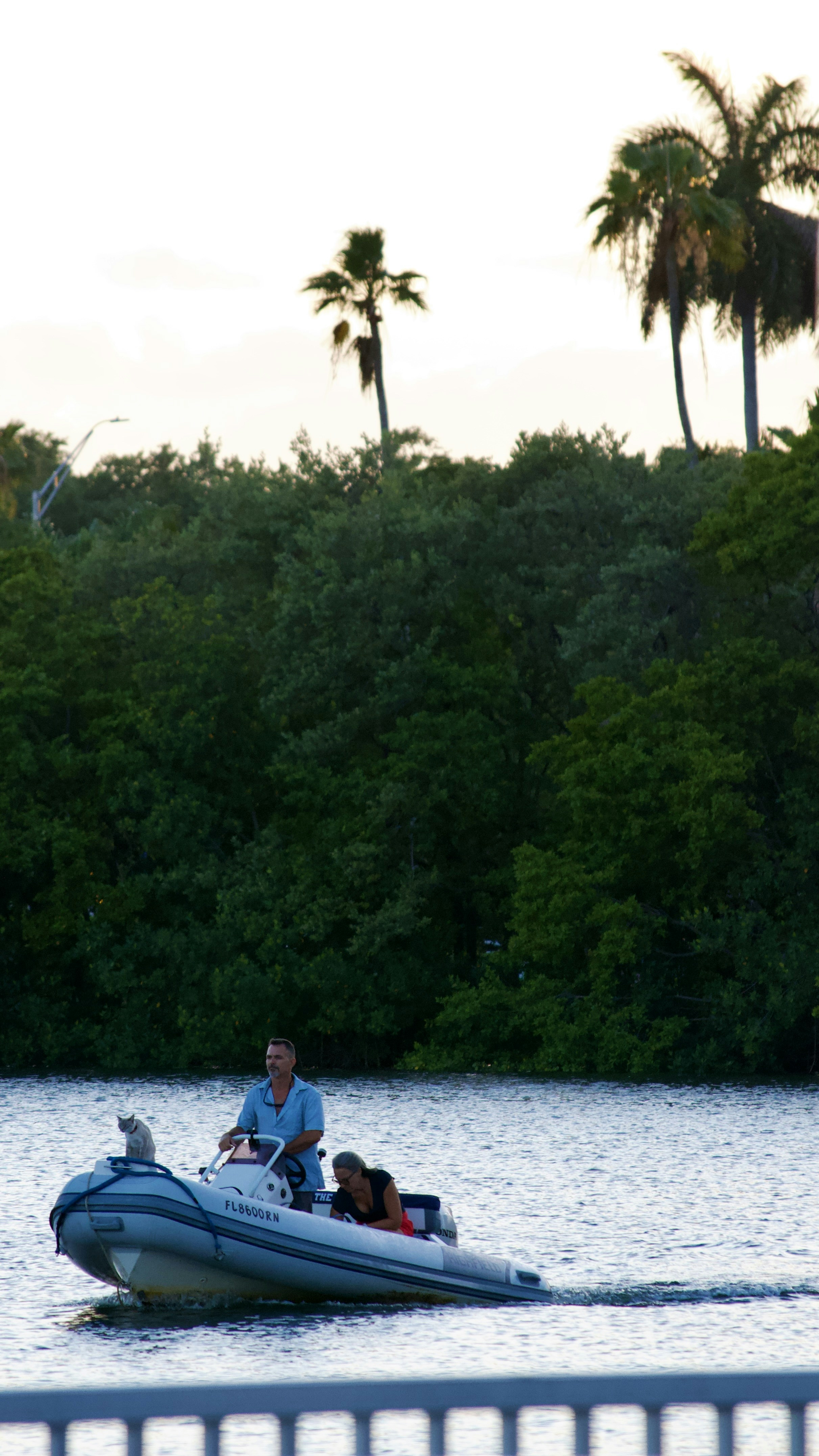 A Quiet Boat Ride Under Palm Dusk