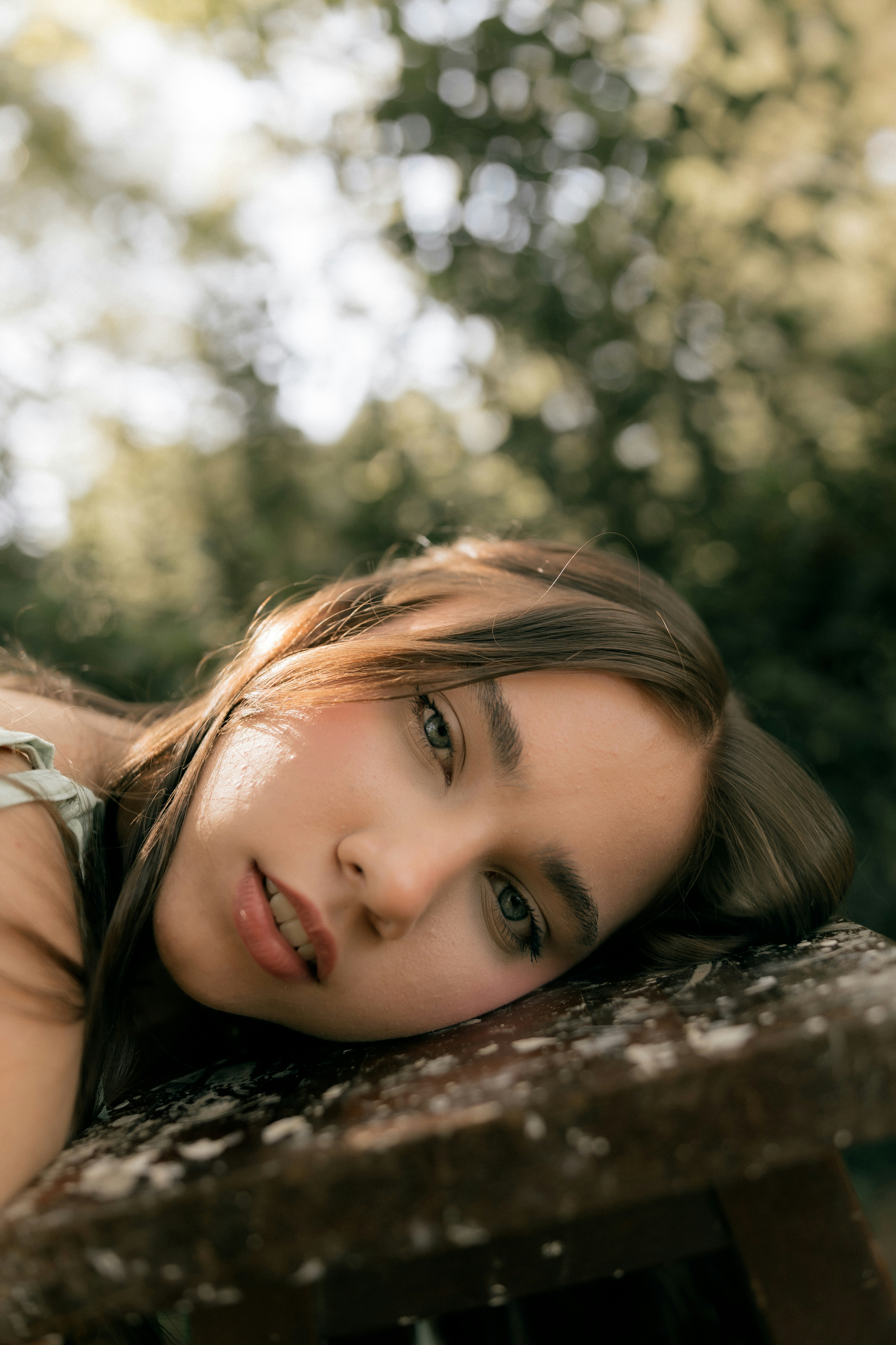 Leaning Gaze Across a Sunlit Glen
