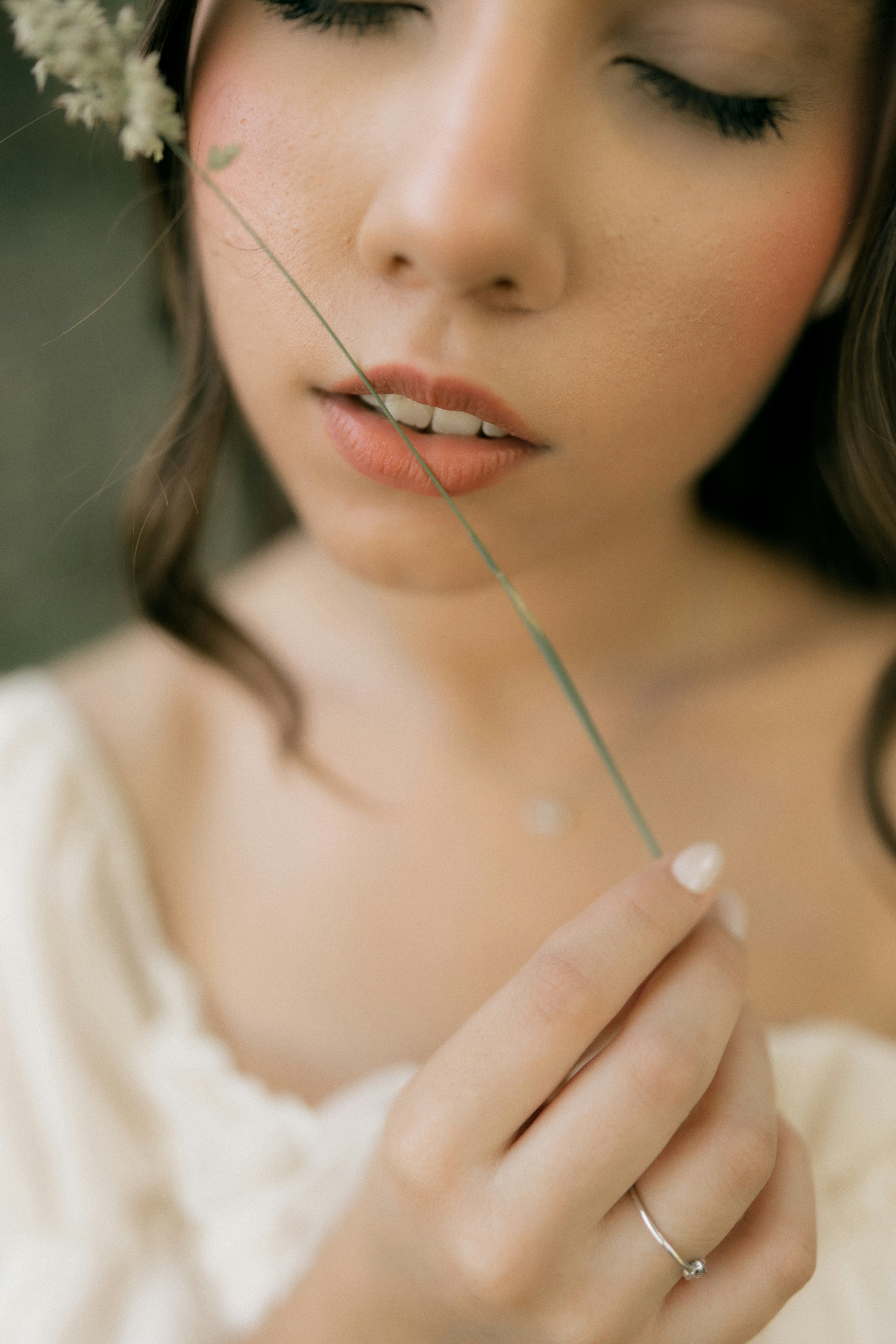 Soft Focus Reverie: A Quiet Moment with a Dainty Flower