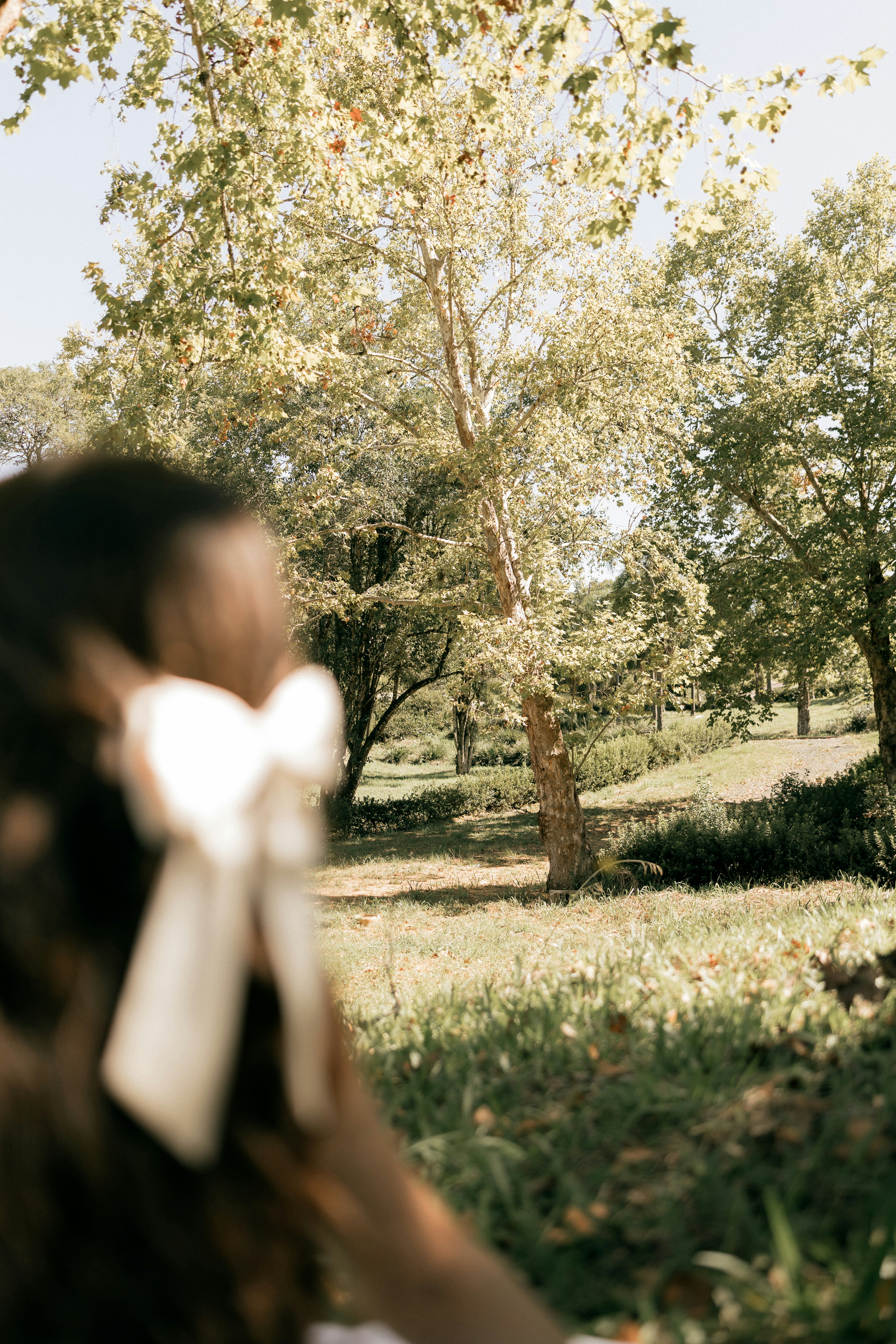 Soft-Focus Bride-to-Tree Moment in Sunlit Park