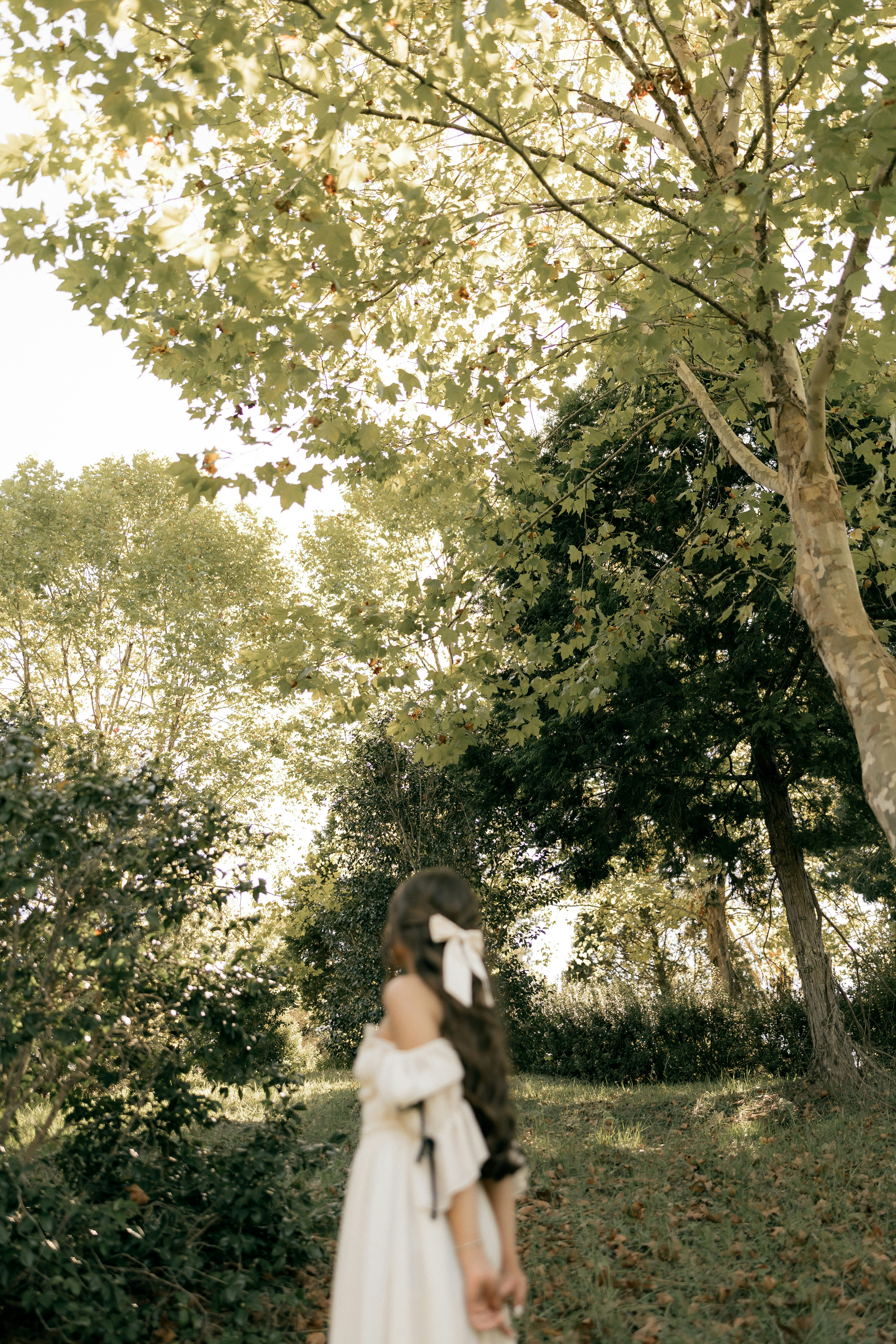 White-dressed figure beneath sunlit canopy