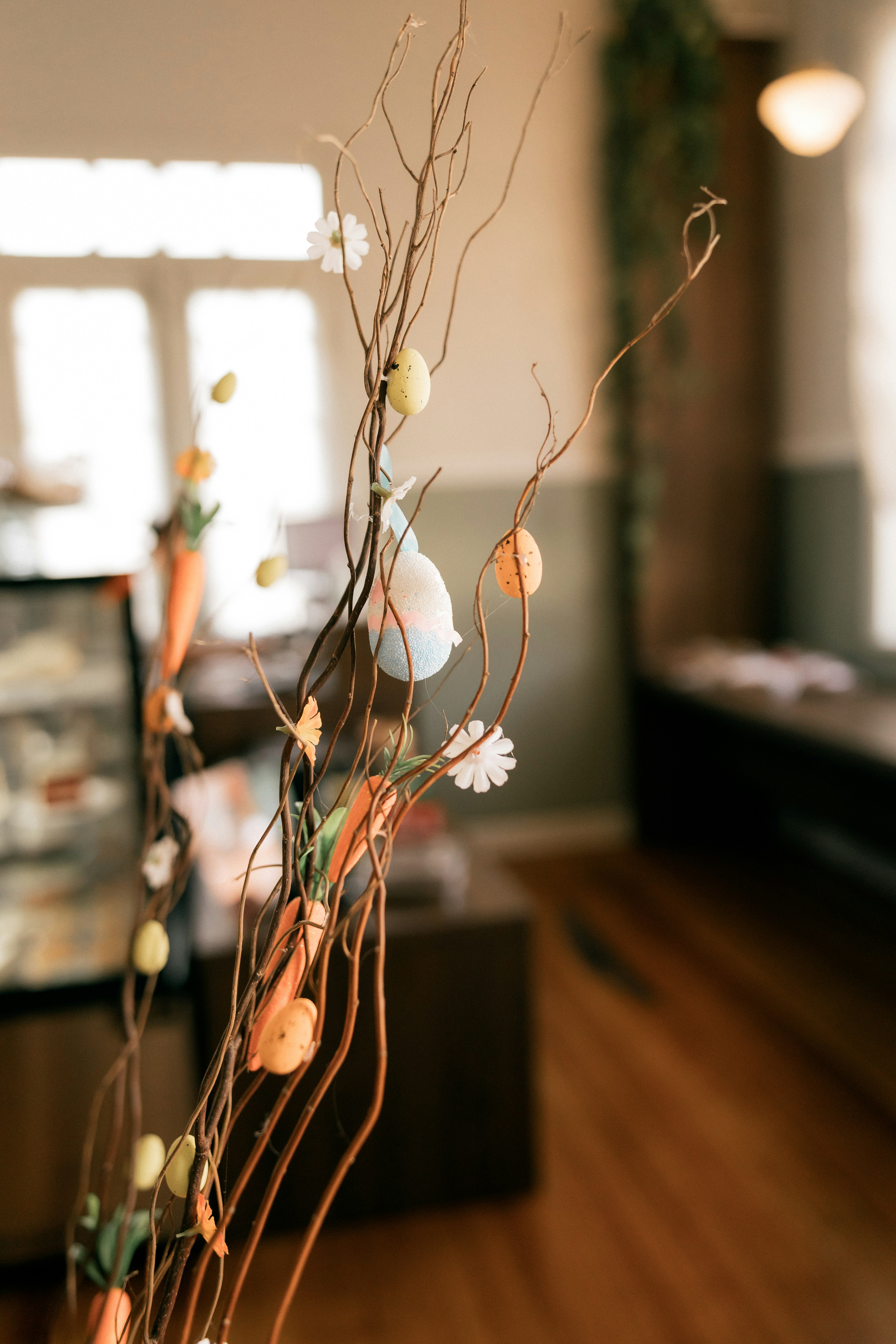 Whimsical Branches in Soft Focus