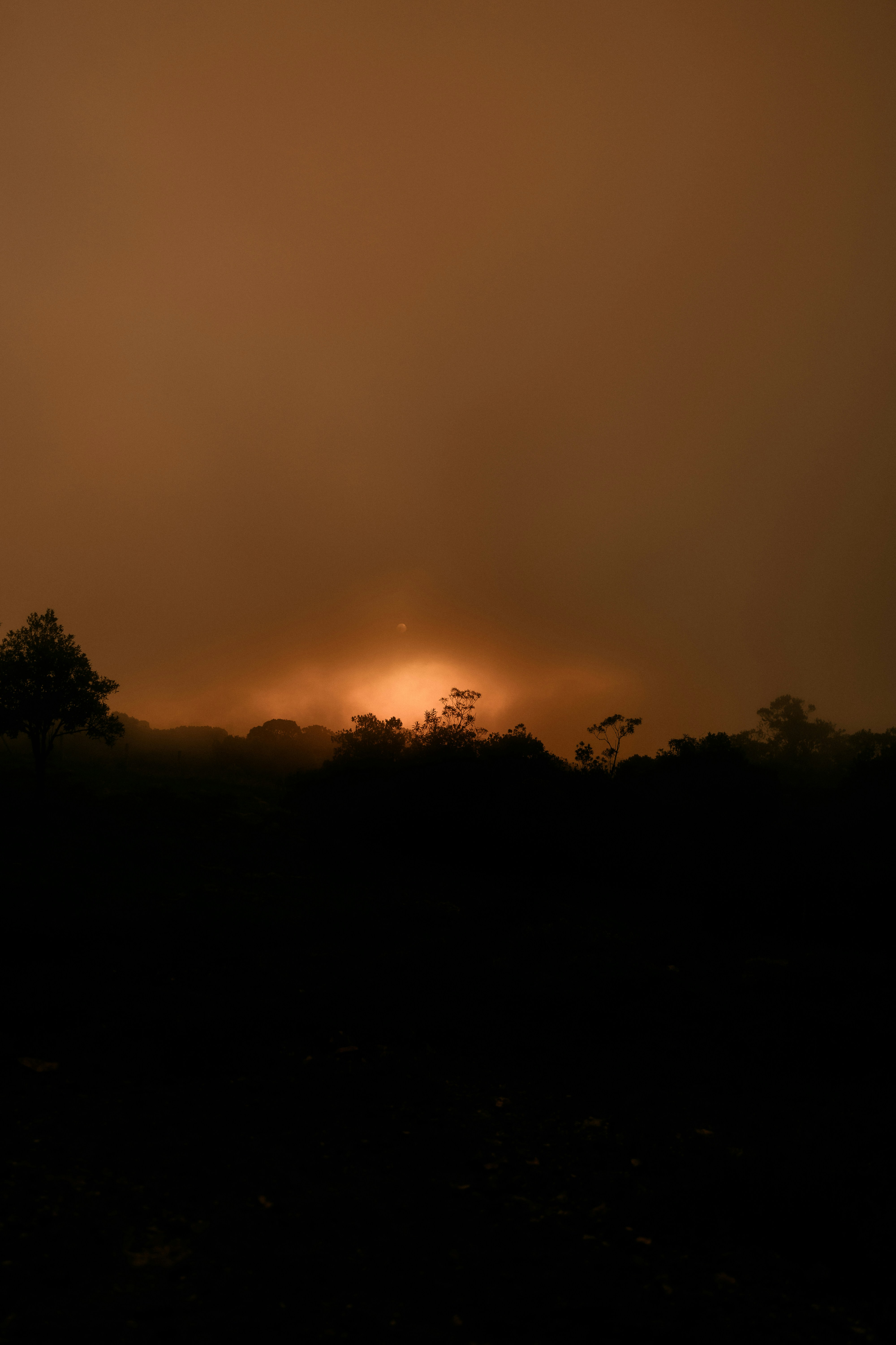 Dawn’s Ember on a Quiet Horizon