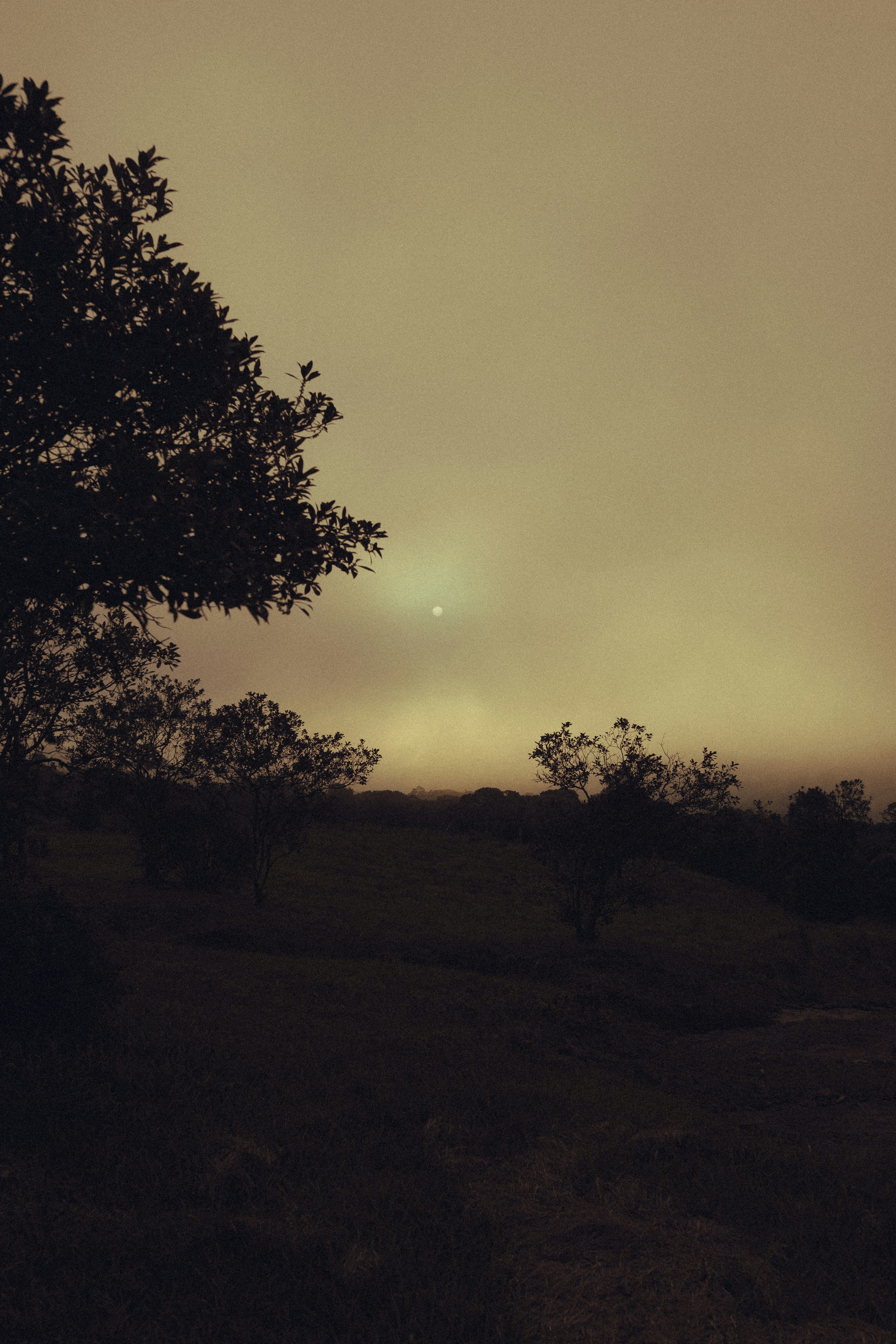 Dusk Over Gentle Hills: A Quiet Horizon