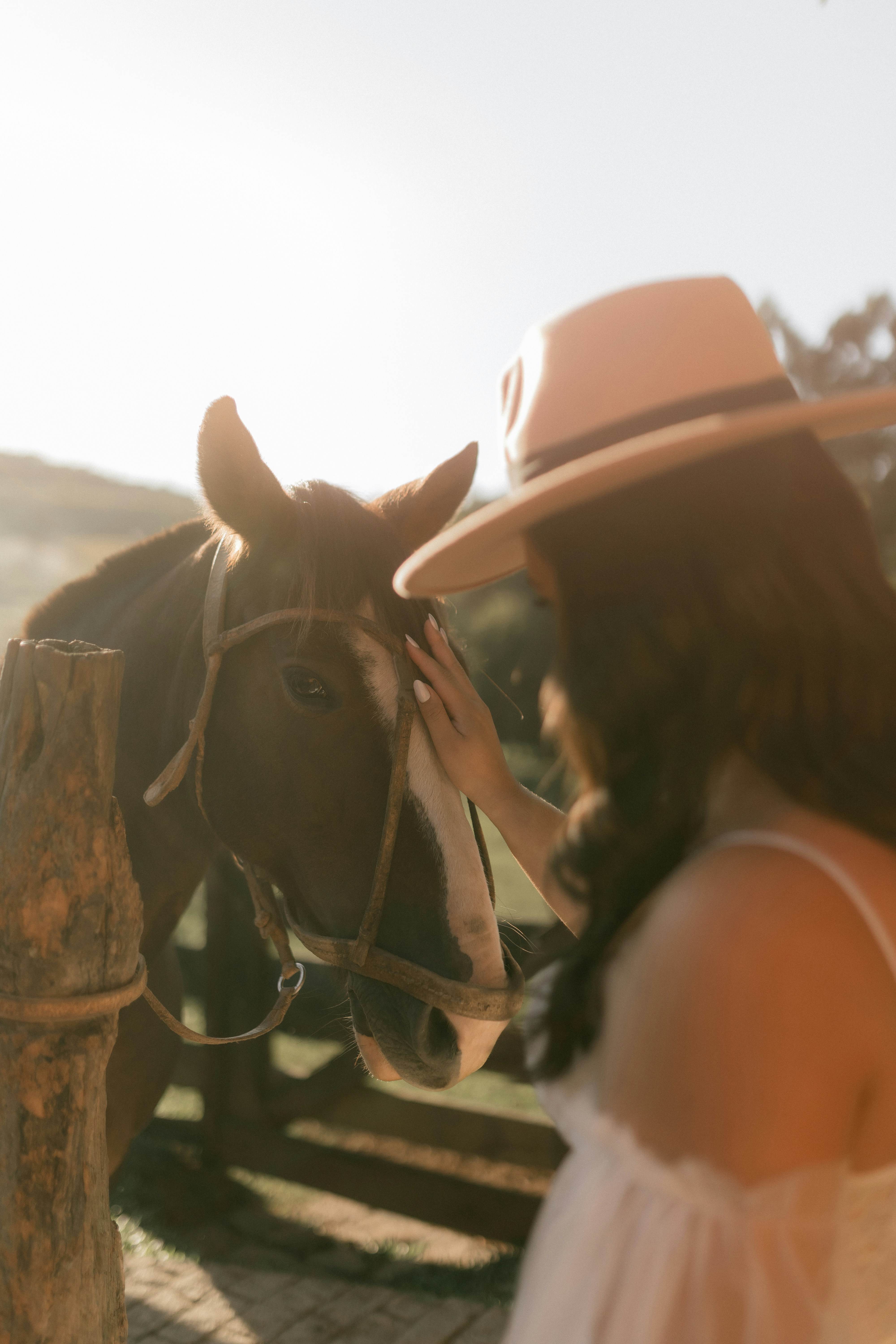 Soft Sunset Bond: Woman and Horse in Golden Hour Embrace