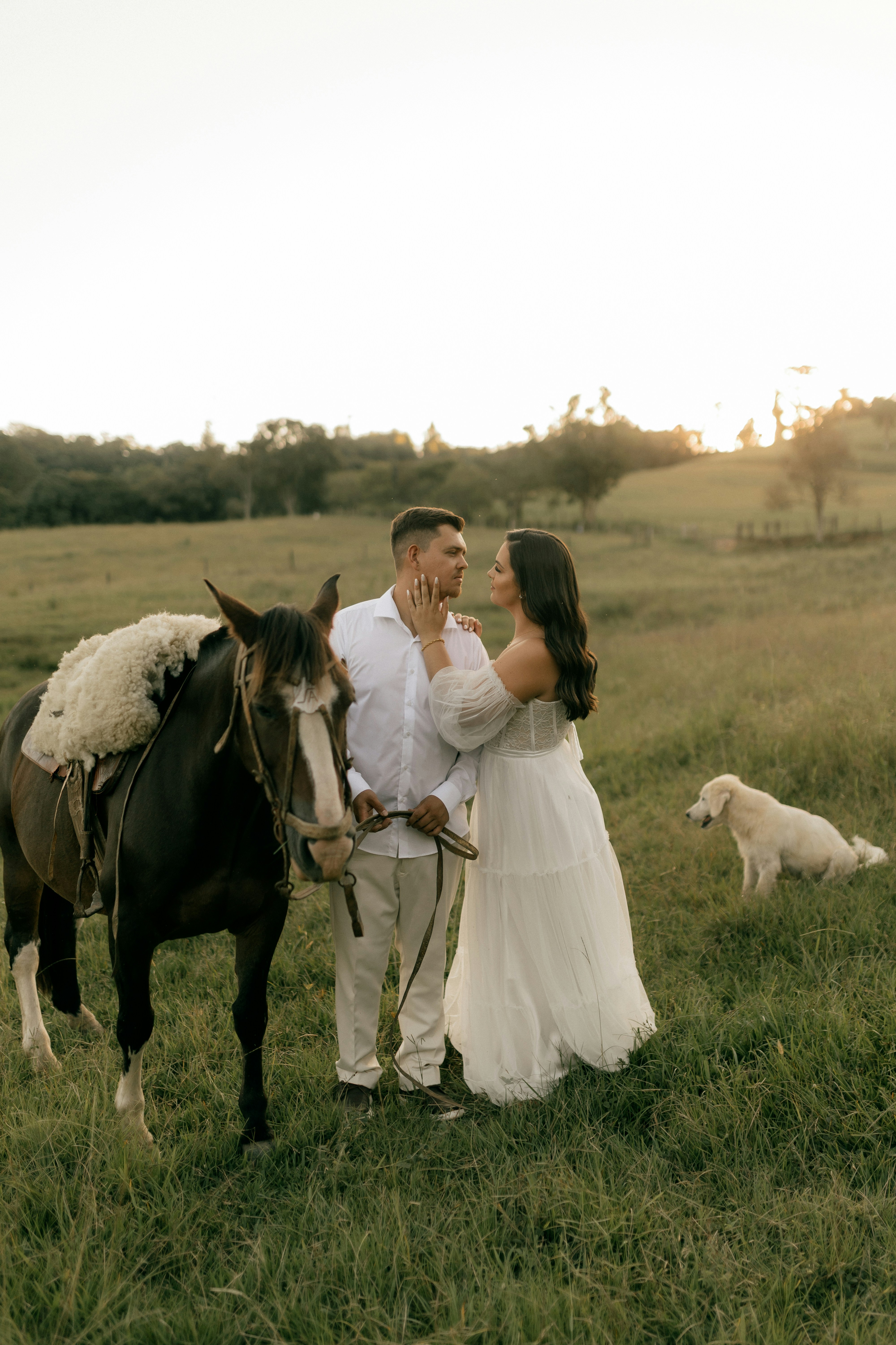 Whispers in the Field: Love Under Soft Sun