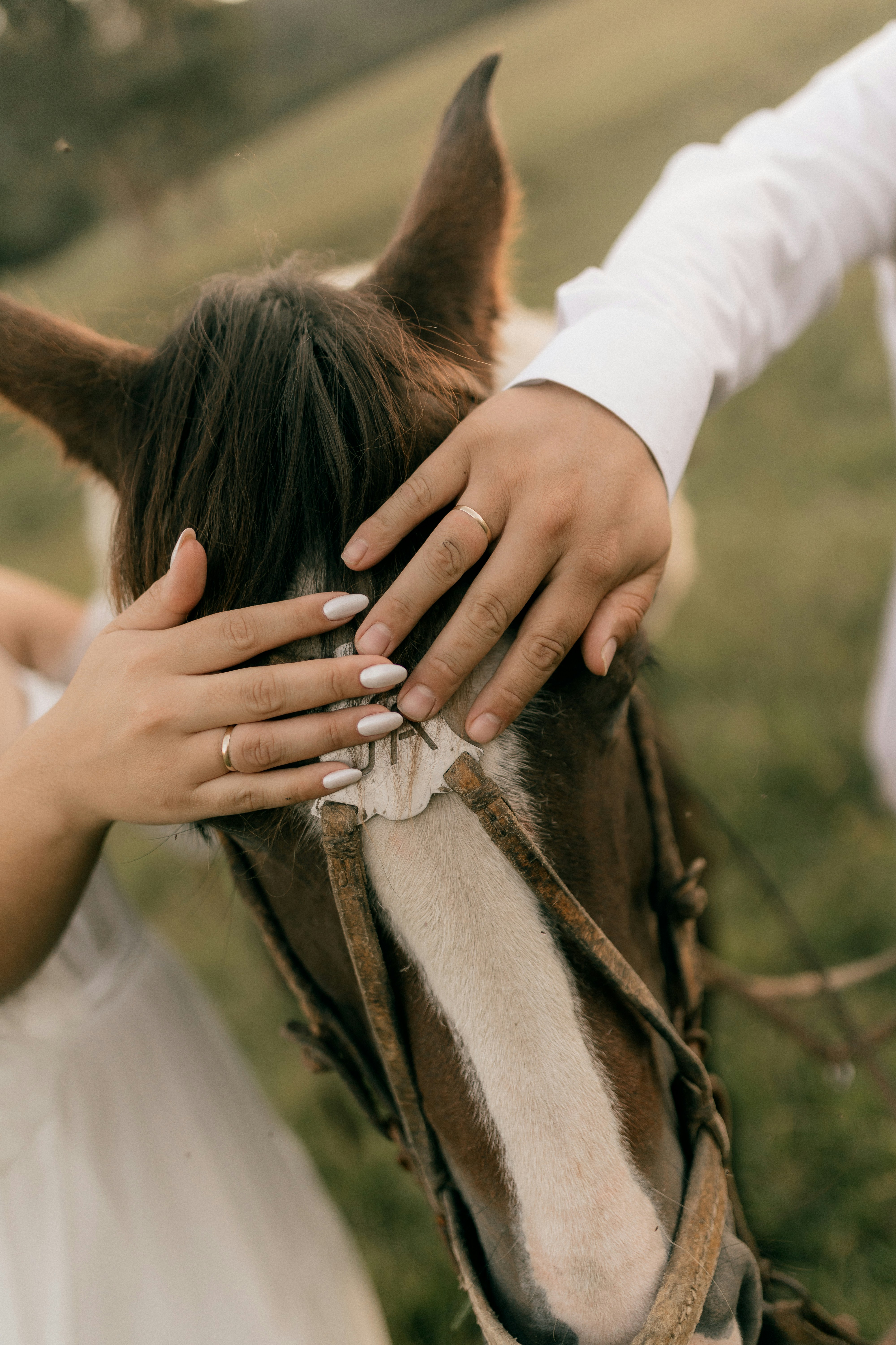 Hands Framing a Horse's Crest: A Quiet Moment Before the Ride