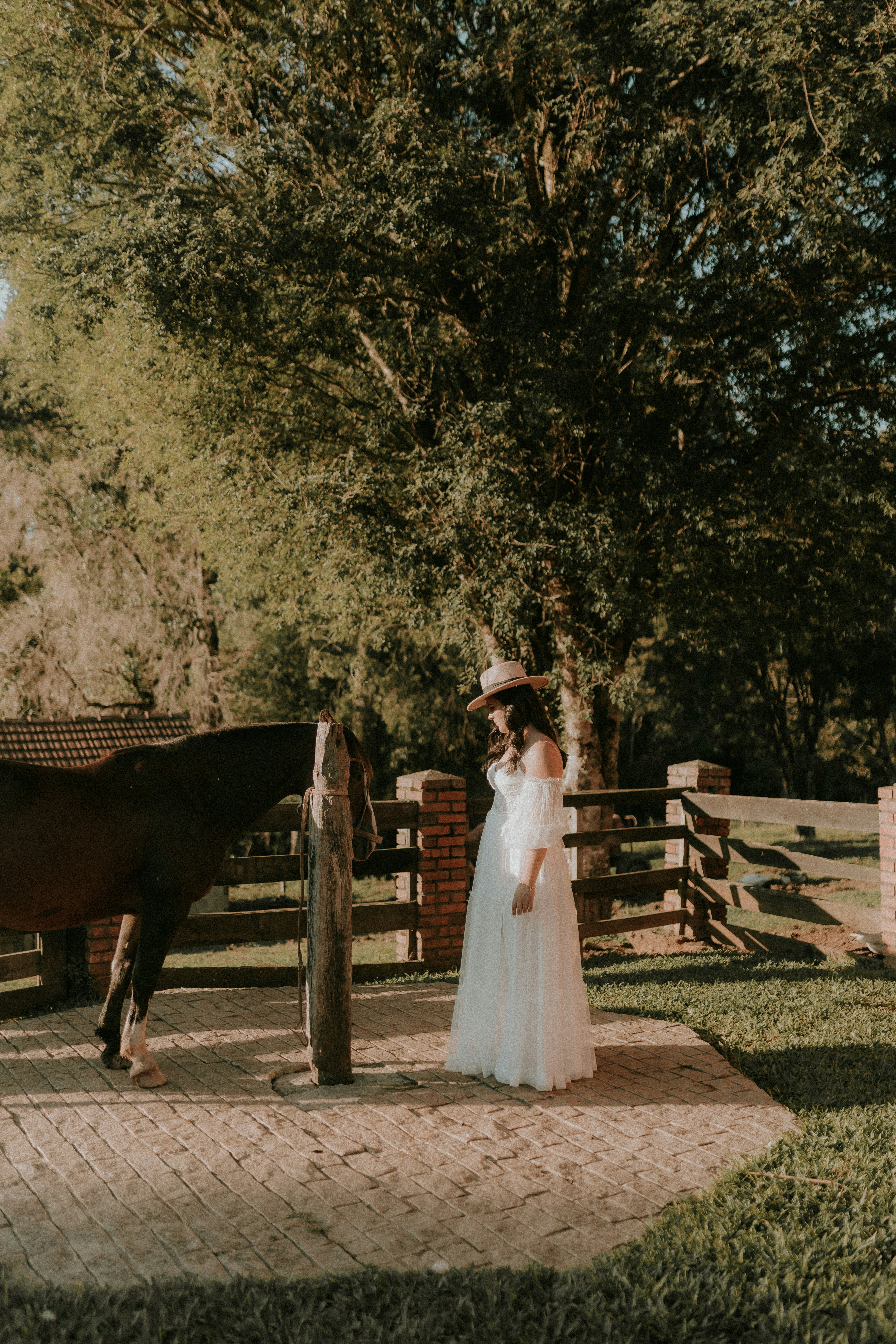 Sunlit Garden Bride: A Quiet Moment with a Horse