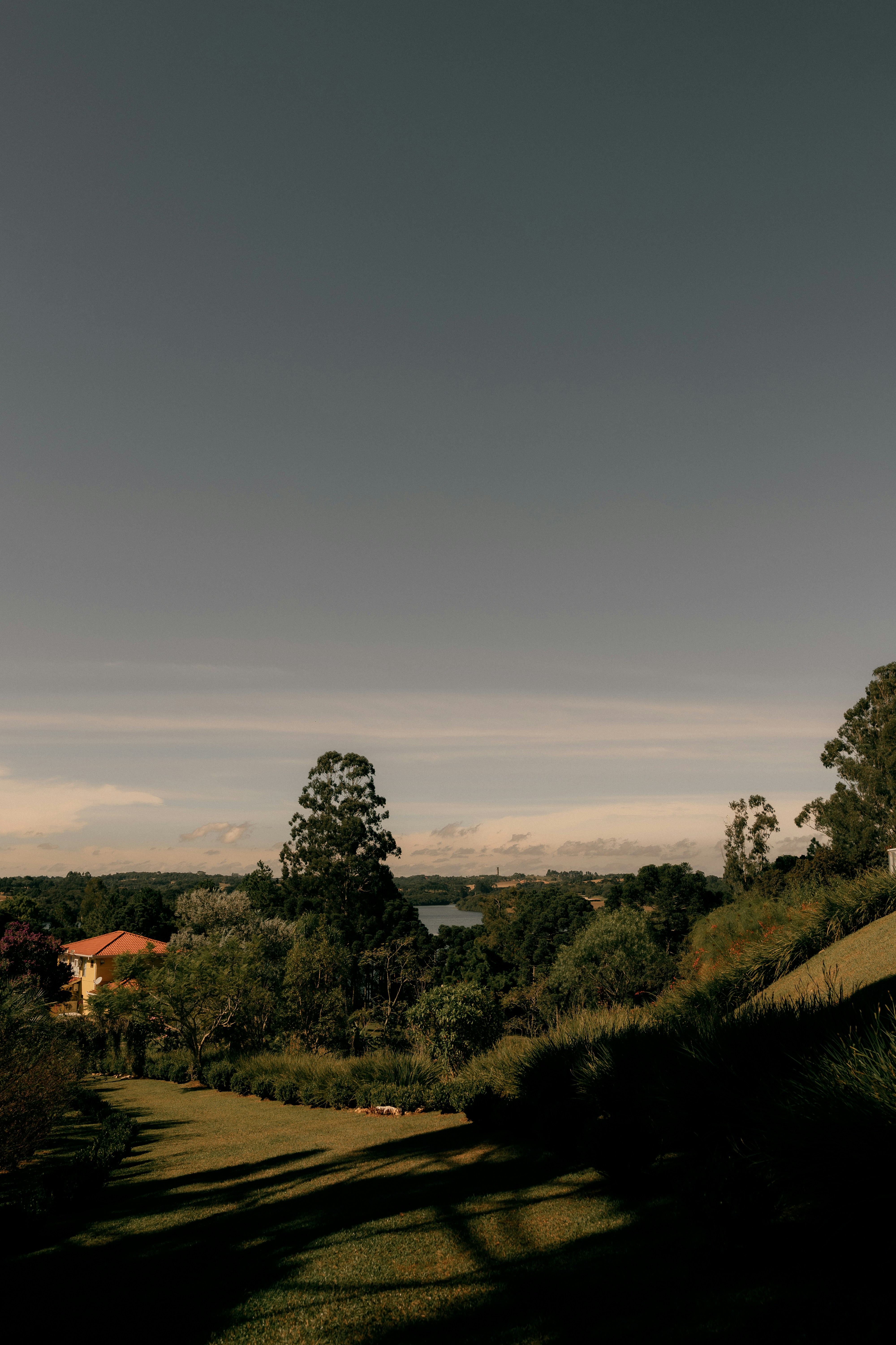 Sunlit Terrace: Quiet Hills and Cresting Shadow
