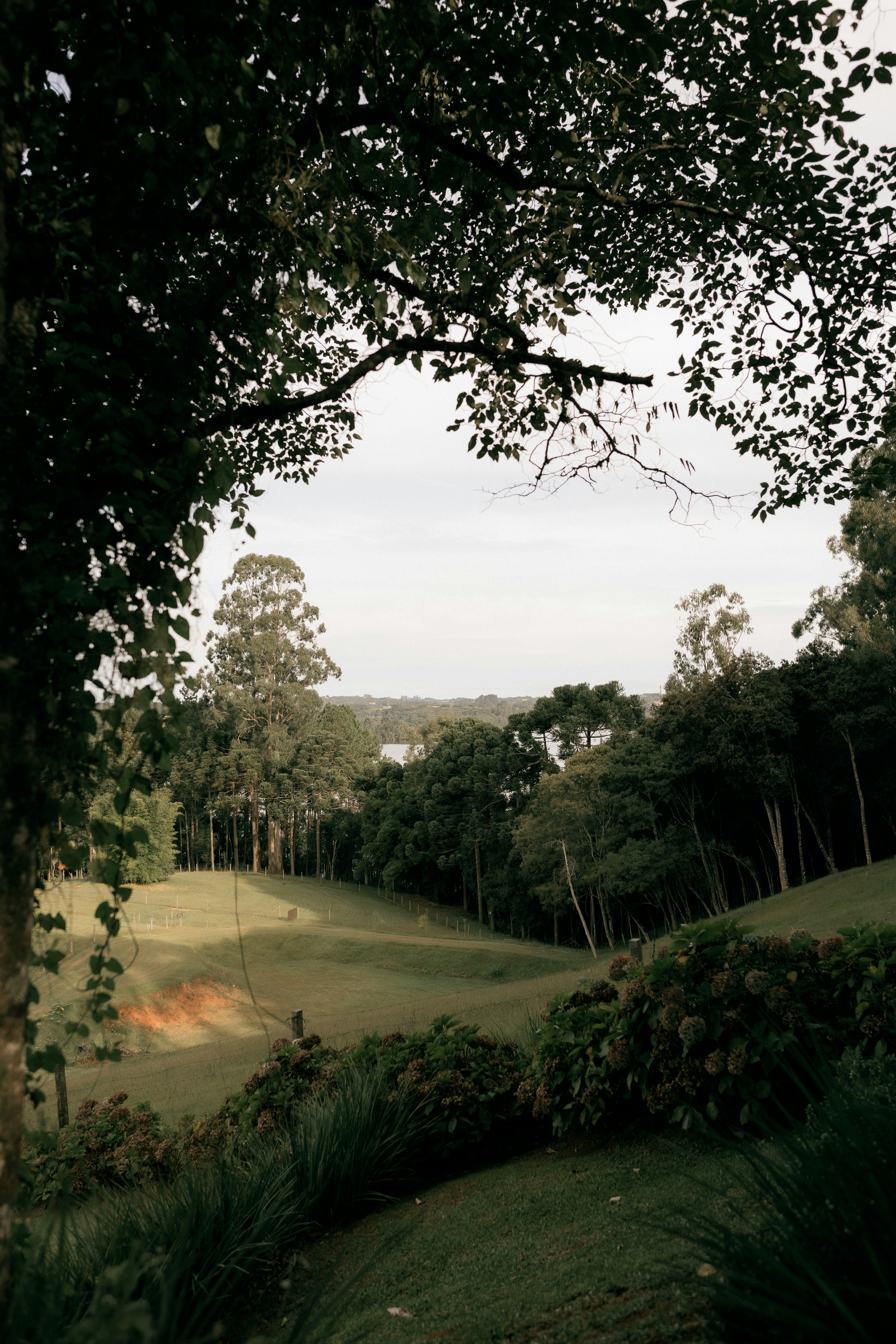 Sunlit Crest of a Serene Golf Landscape