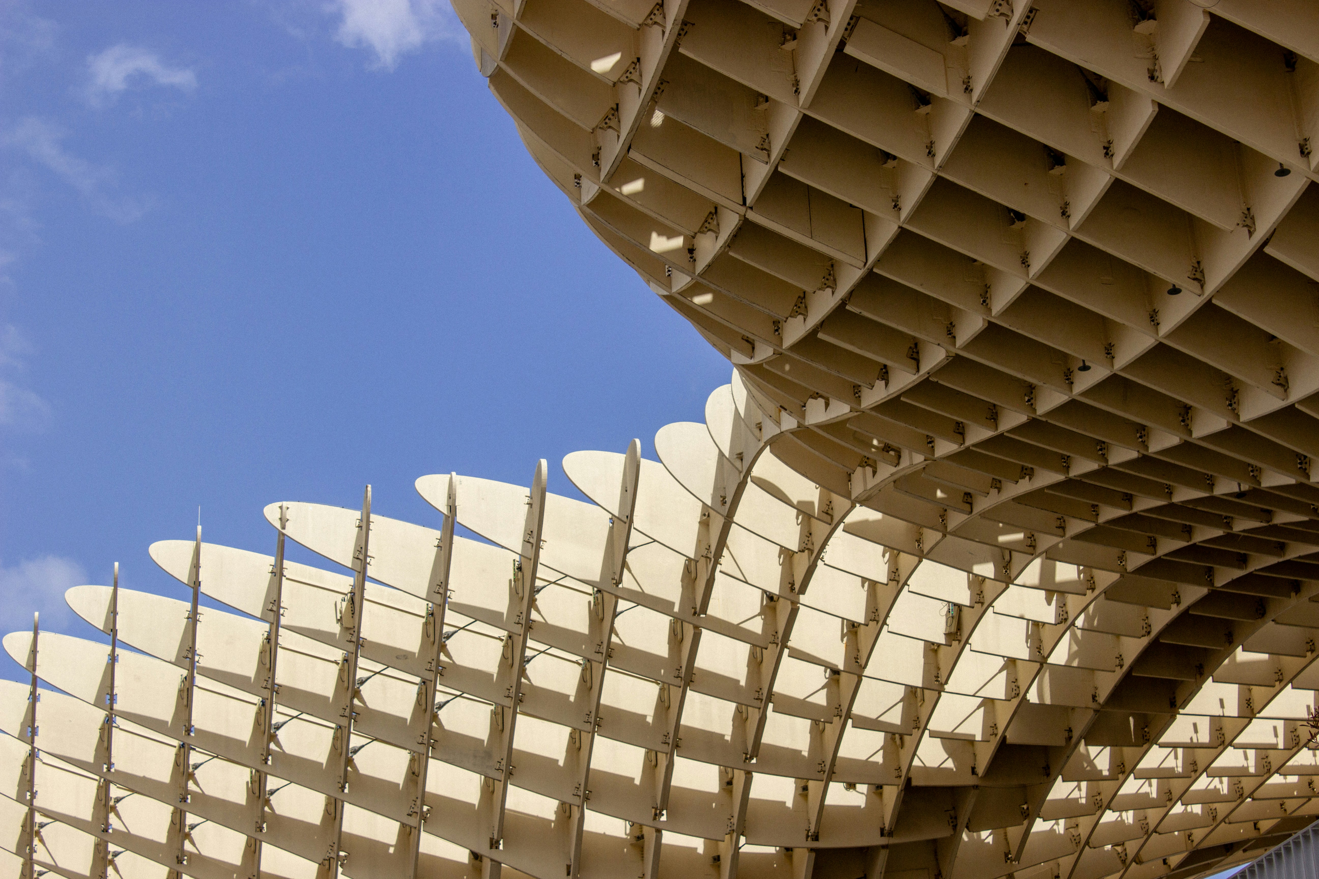Echoes of Geometry: woven concrete fins under a clear sky