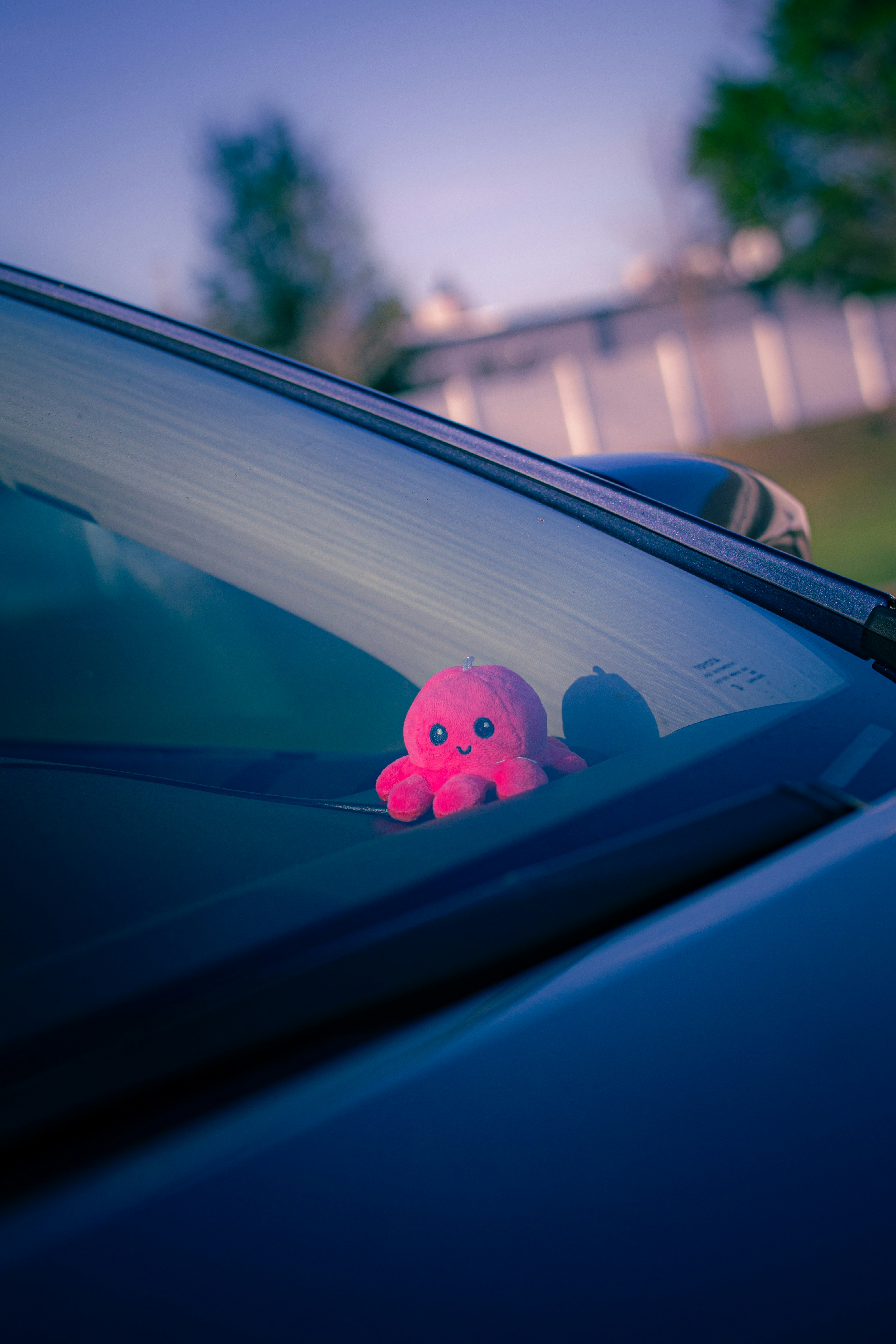 Pink Plush on Car Windshield: A Quiet Moment of Contrast