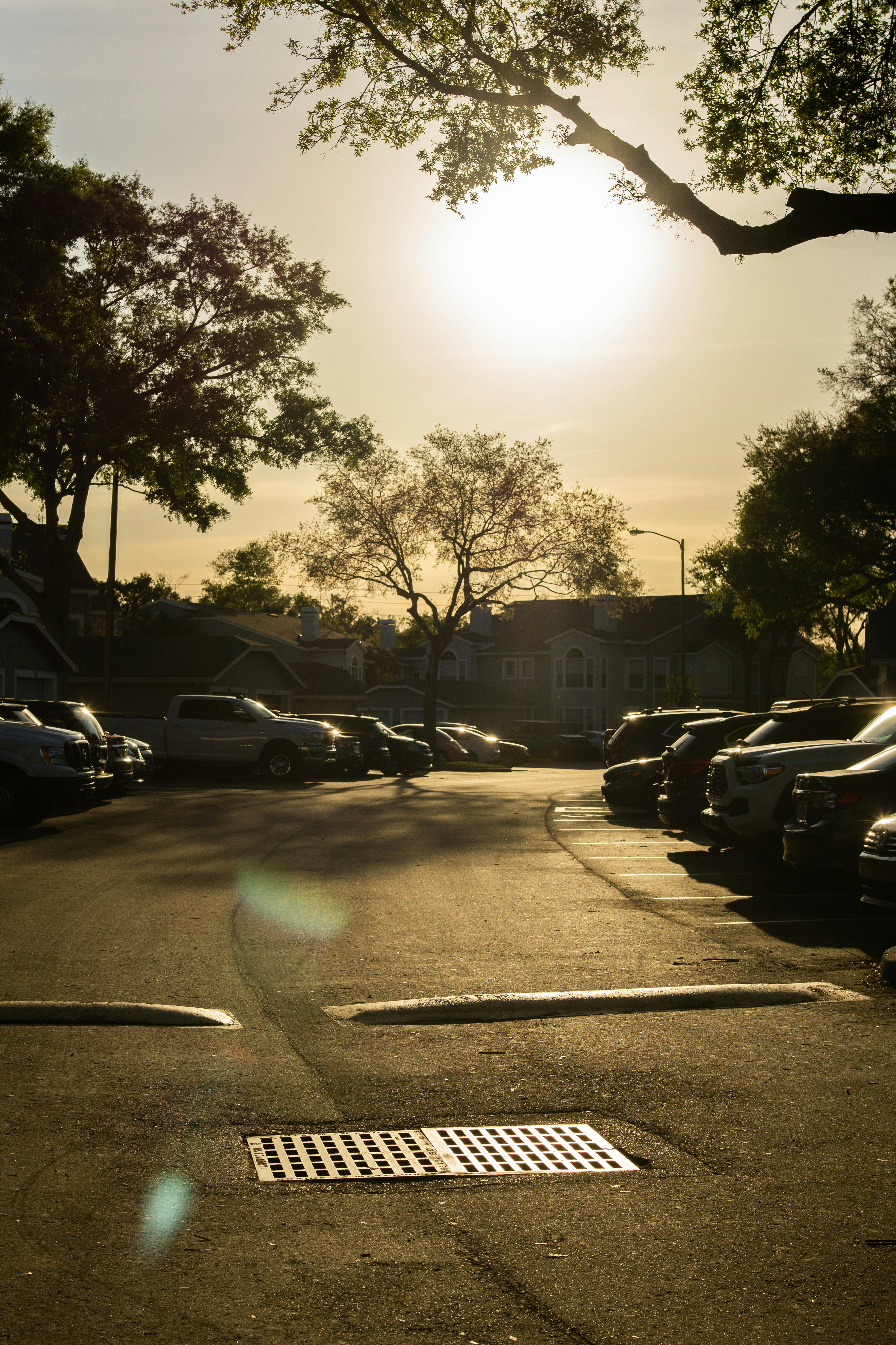 Rising Sun Over a Quiet Suburban Street
