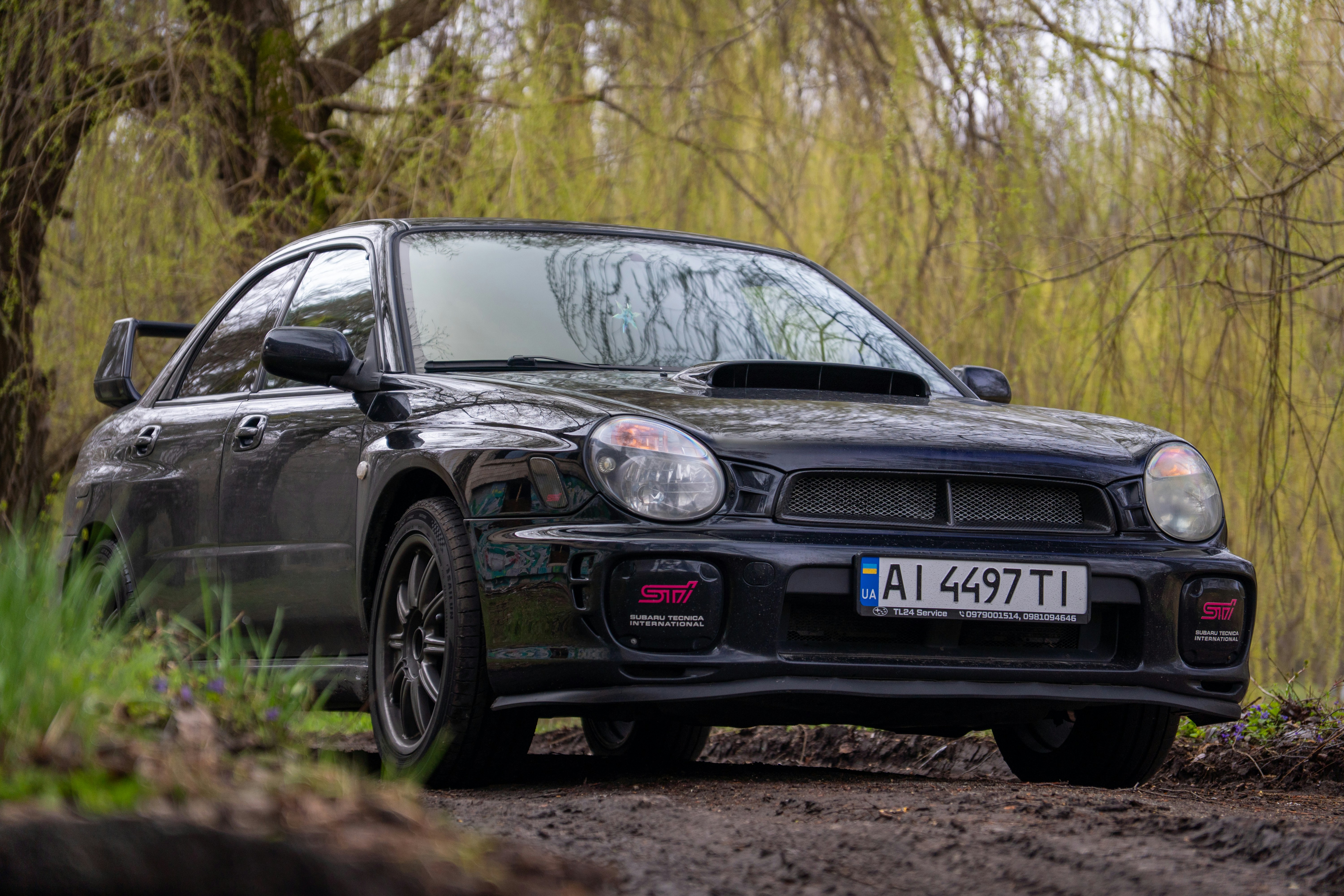 Midnight Rally: A Subaru Impreza Probes a Mossy Forest Road
