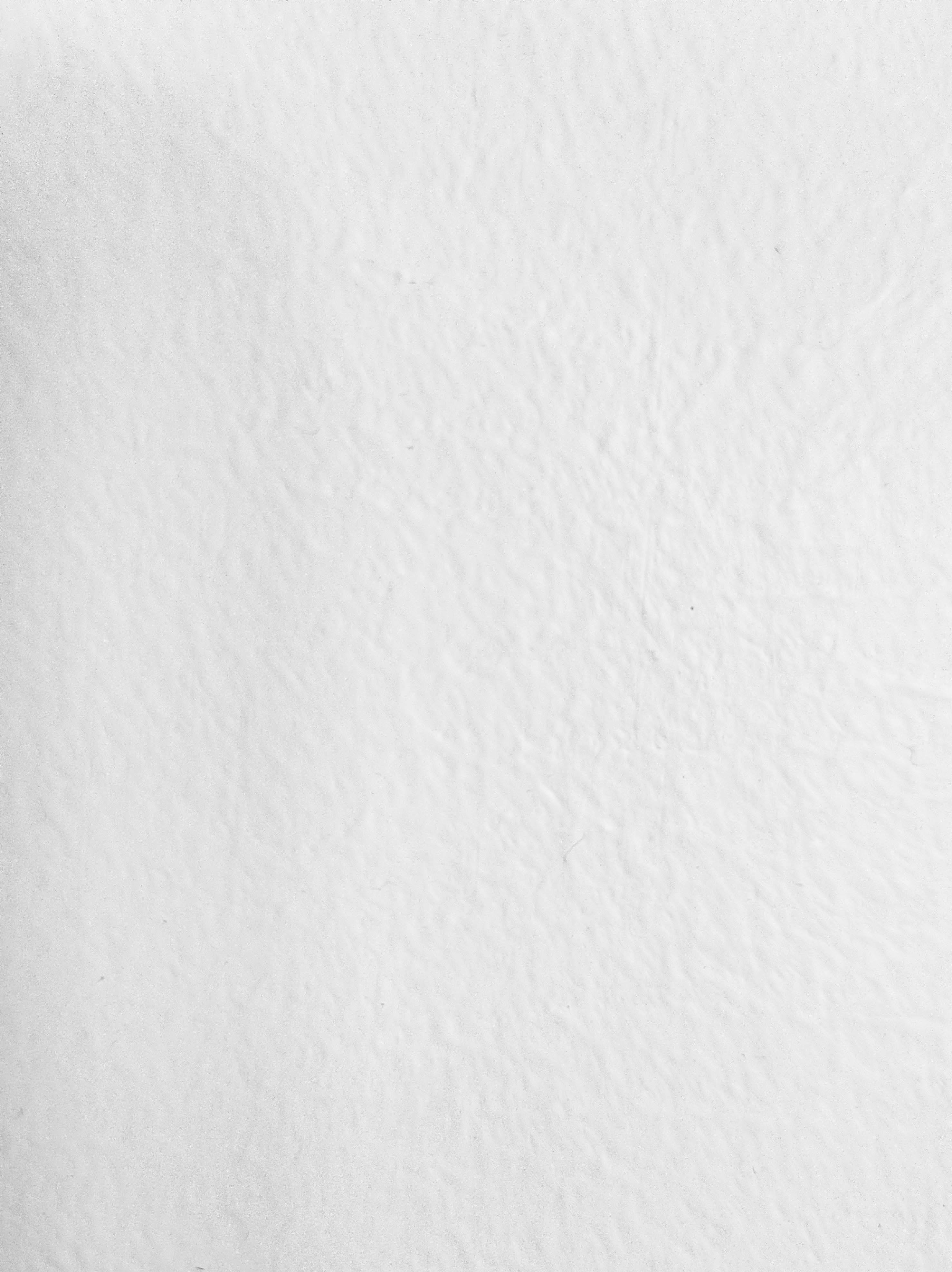 Blank Canvas: Quiet Texture of White Wall