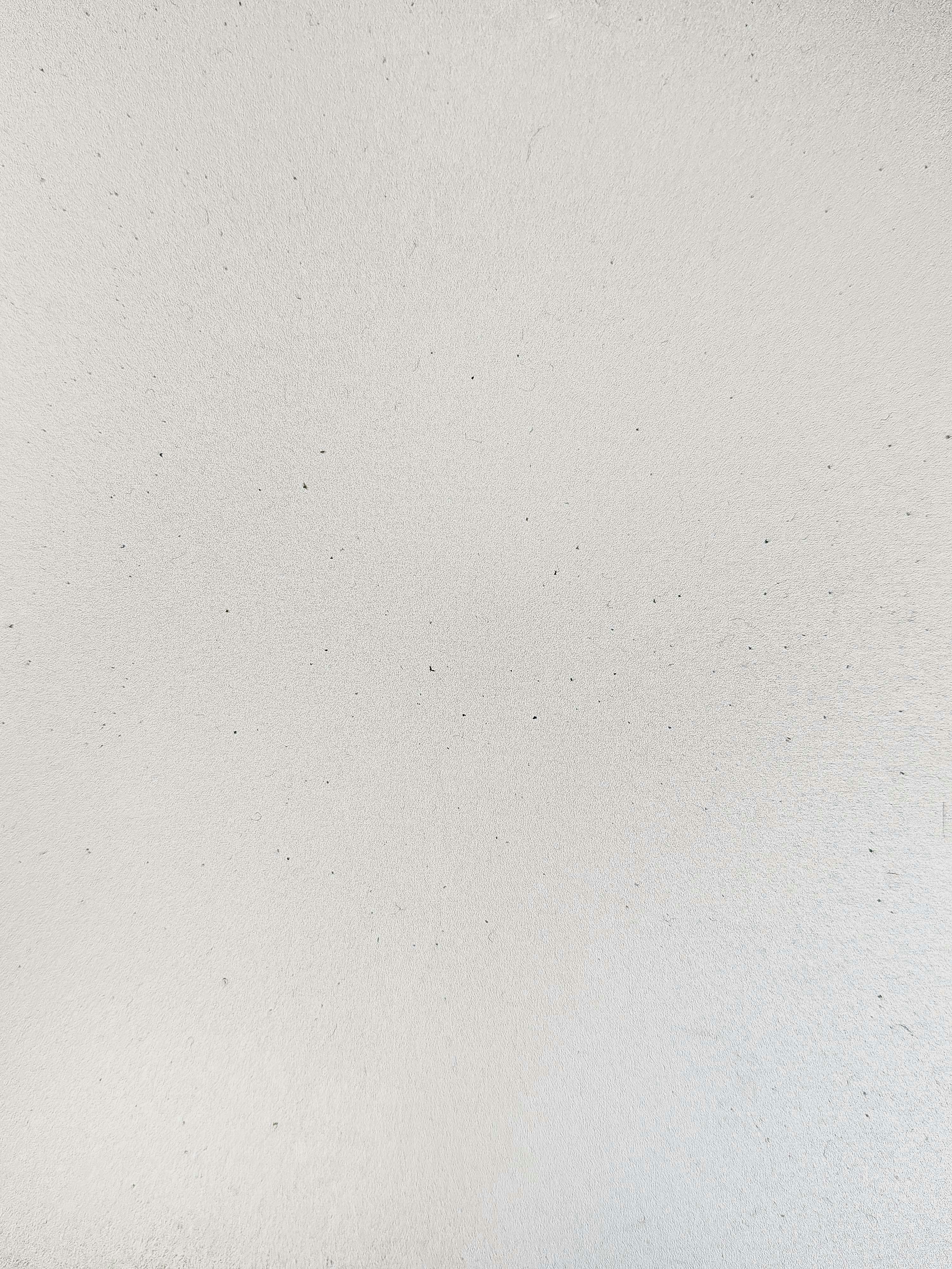 Muted Concrete Canvas: Subtle Texture on a Quiet Wall