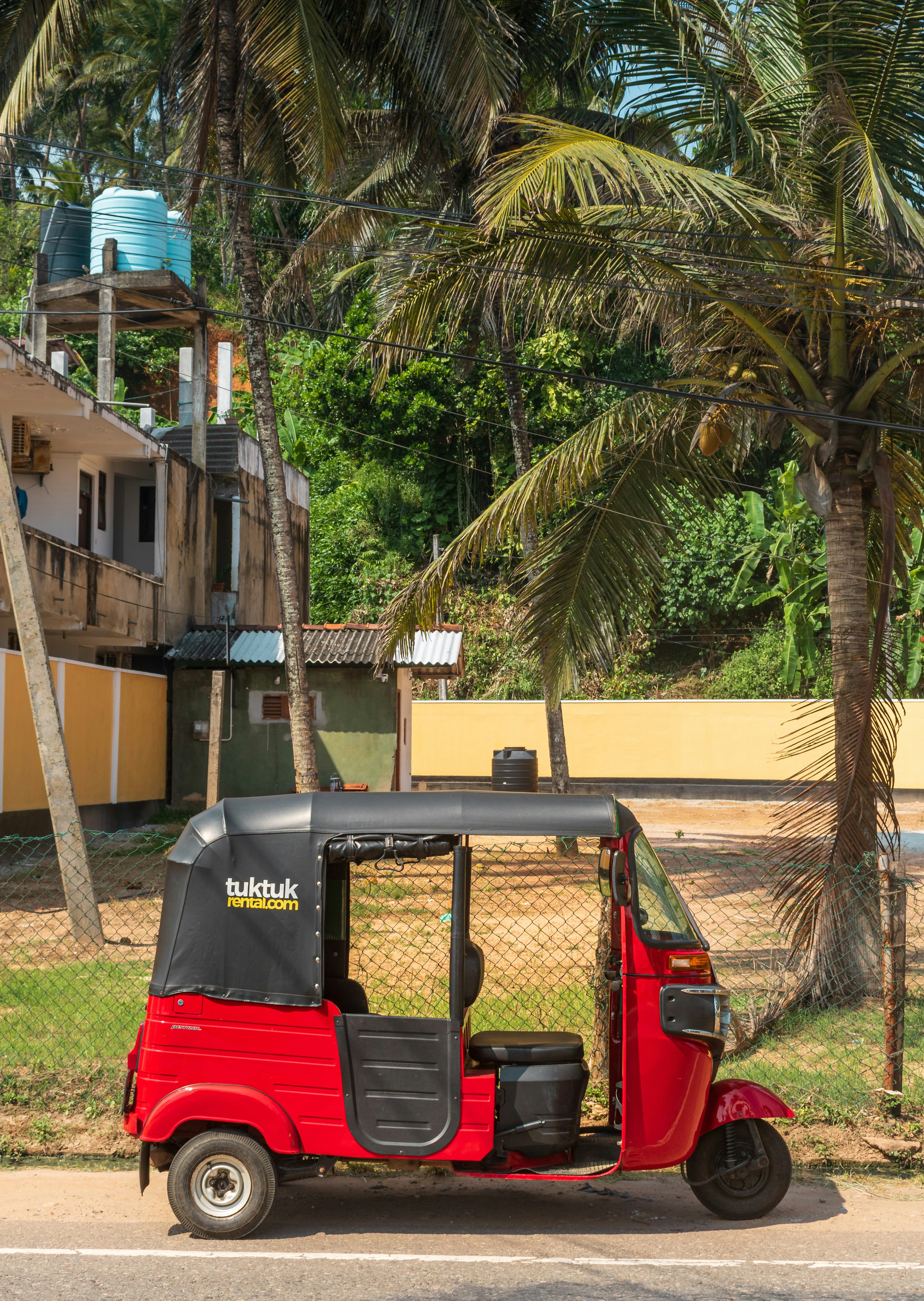 Red Tuk-Tuk Lounge: A quiet street scene under tropical palms