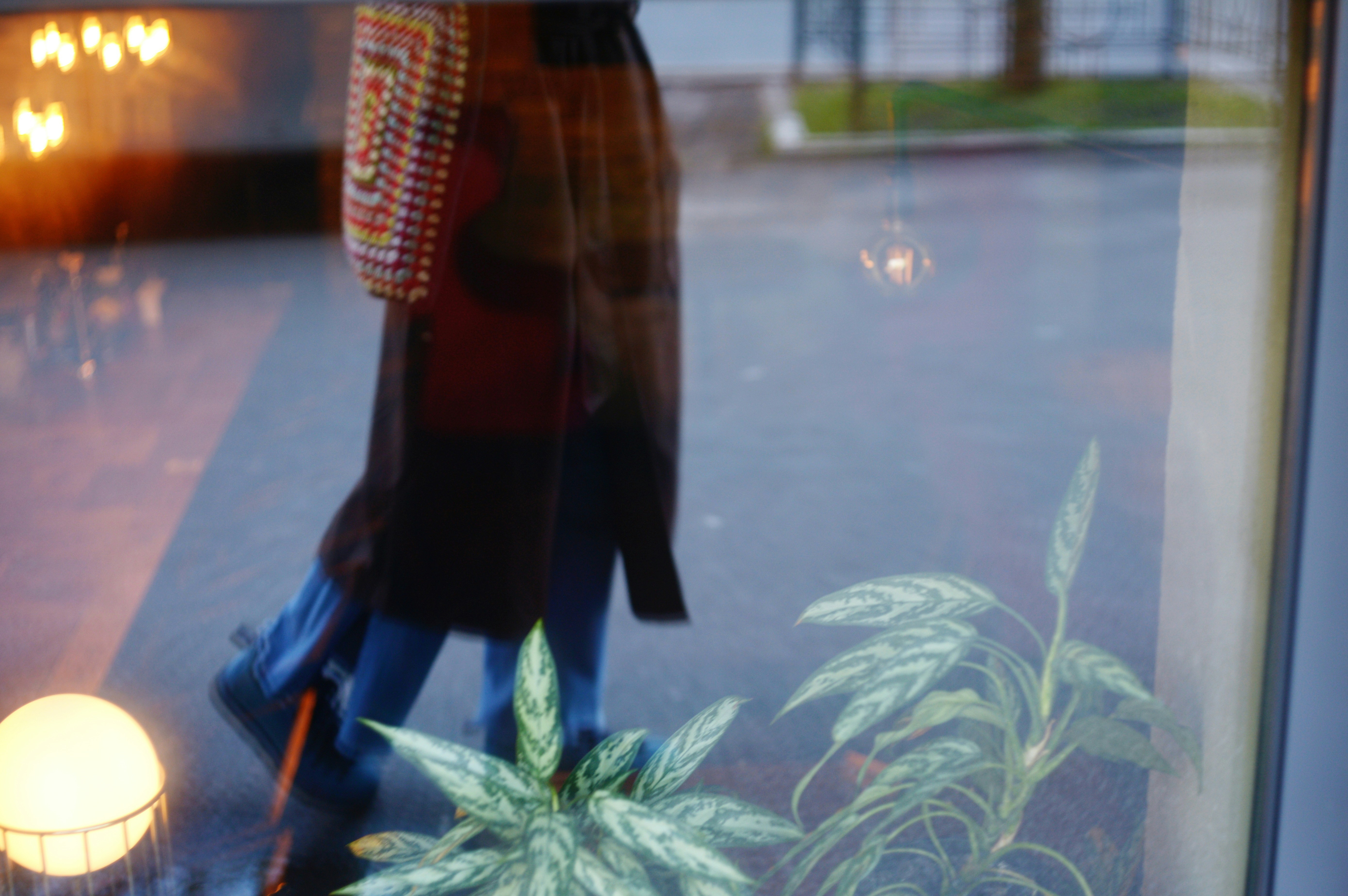 Hidden Reflections: A Shopper Passes by the Window Garden