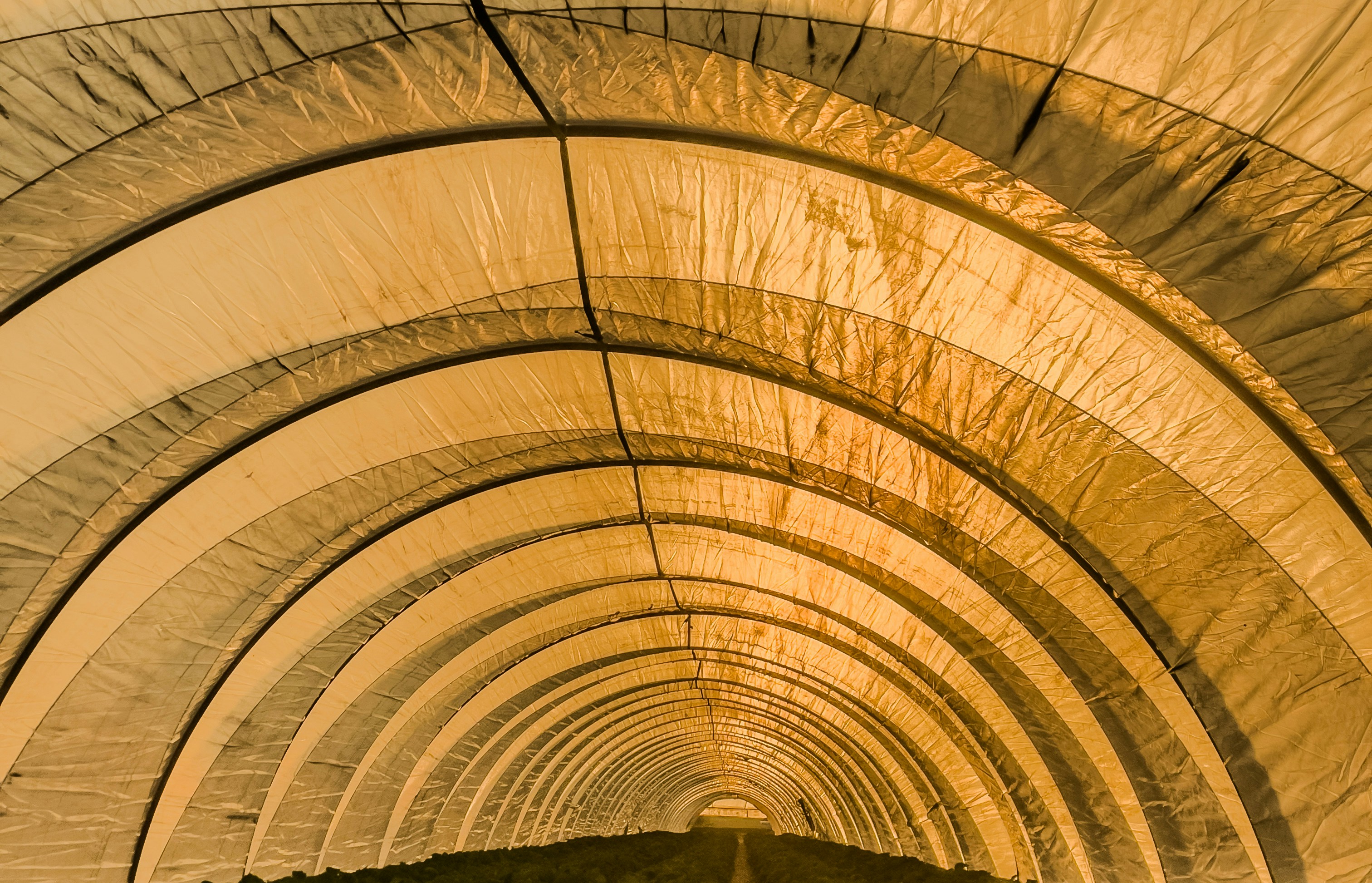 Tunnel of Echoes: Concentric Arches Diminishing to Light