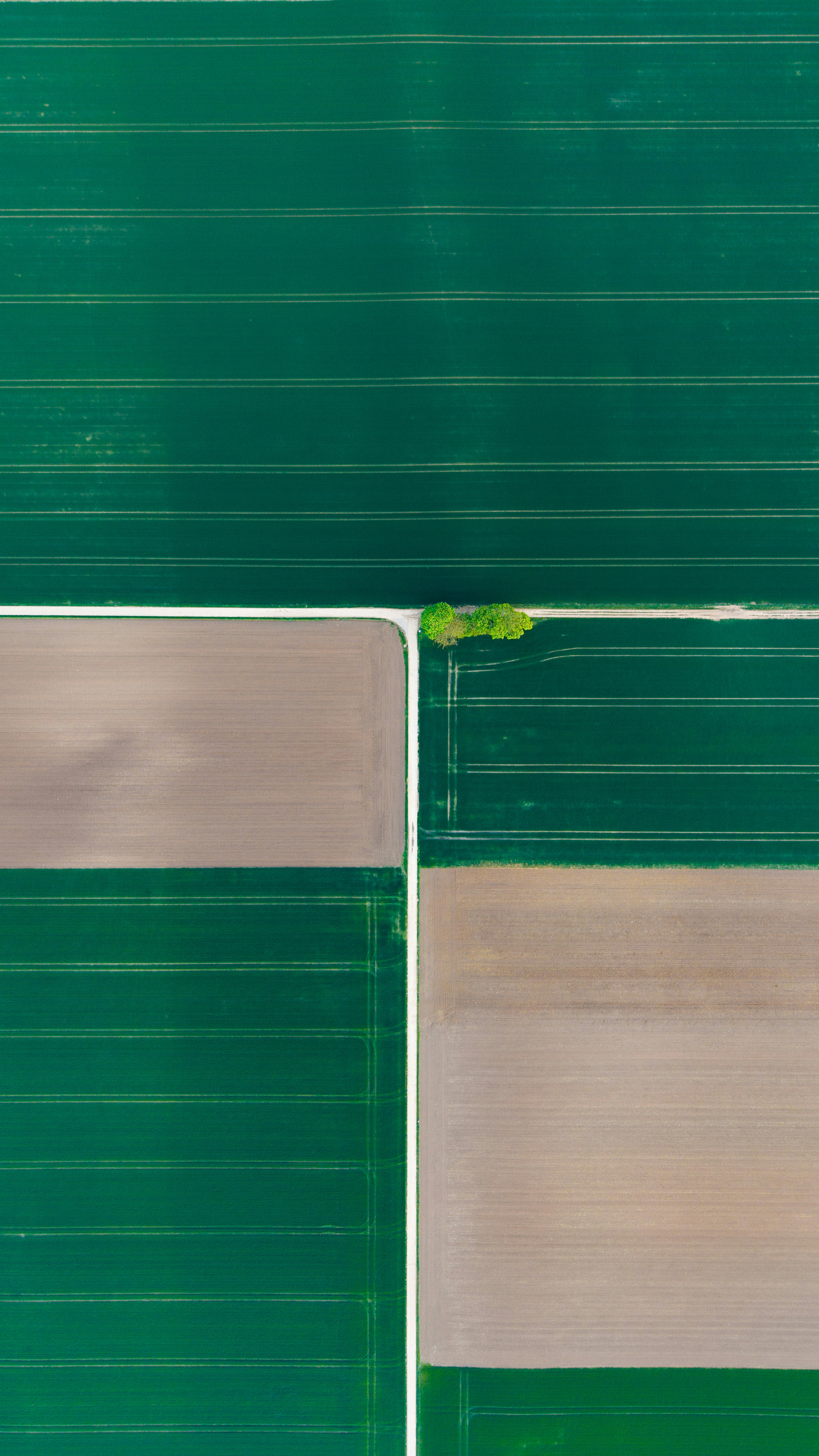 Molded fields and a T-junction: geometric tapestry of farmland