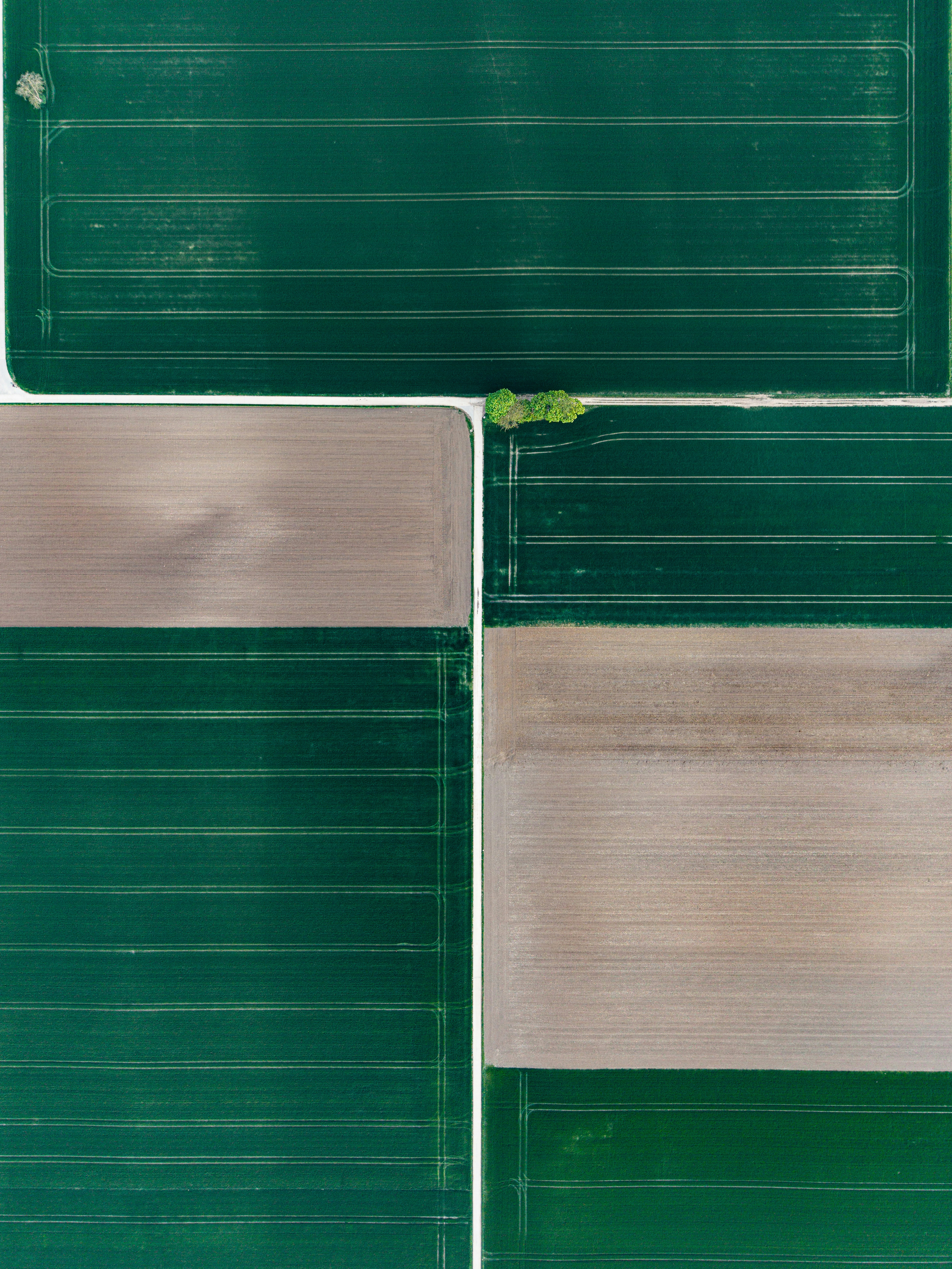 Patchwork of Fields: Aerial Grid of Green and Tan