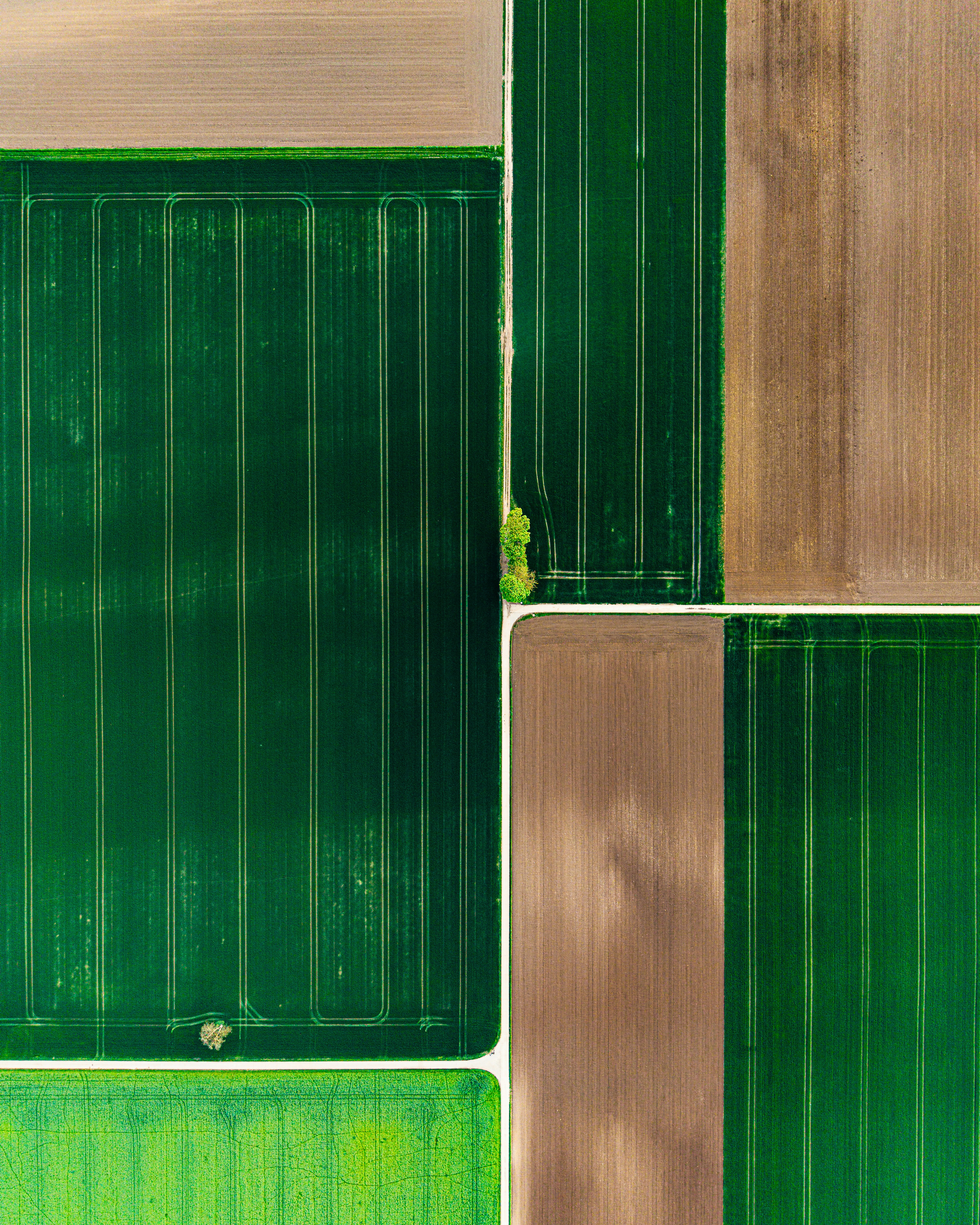 Patchwork of Fields: Aerial Geometry in Seasonal Hues