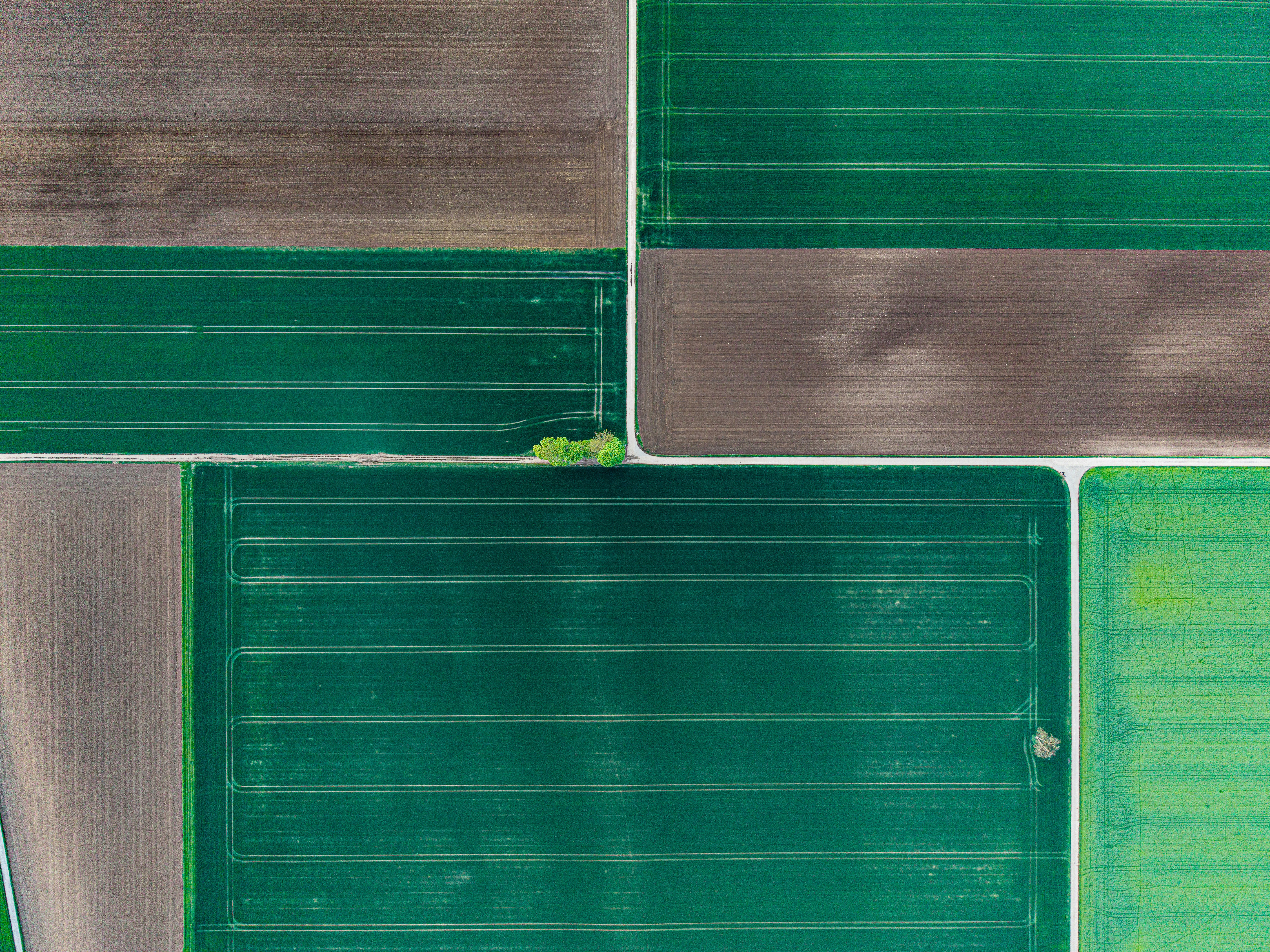 Geometric Mosaic: A Drone’s Eye Over Irregular Field Blocks