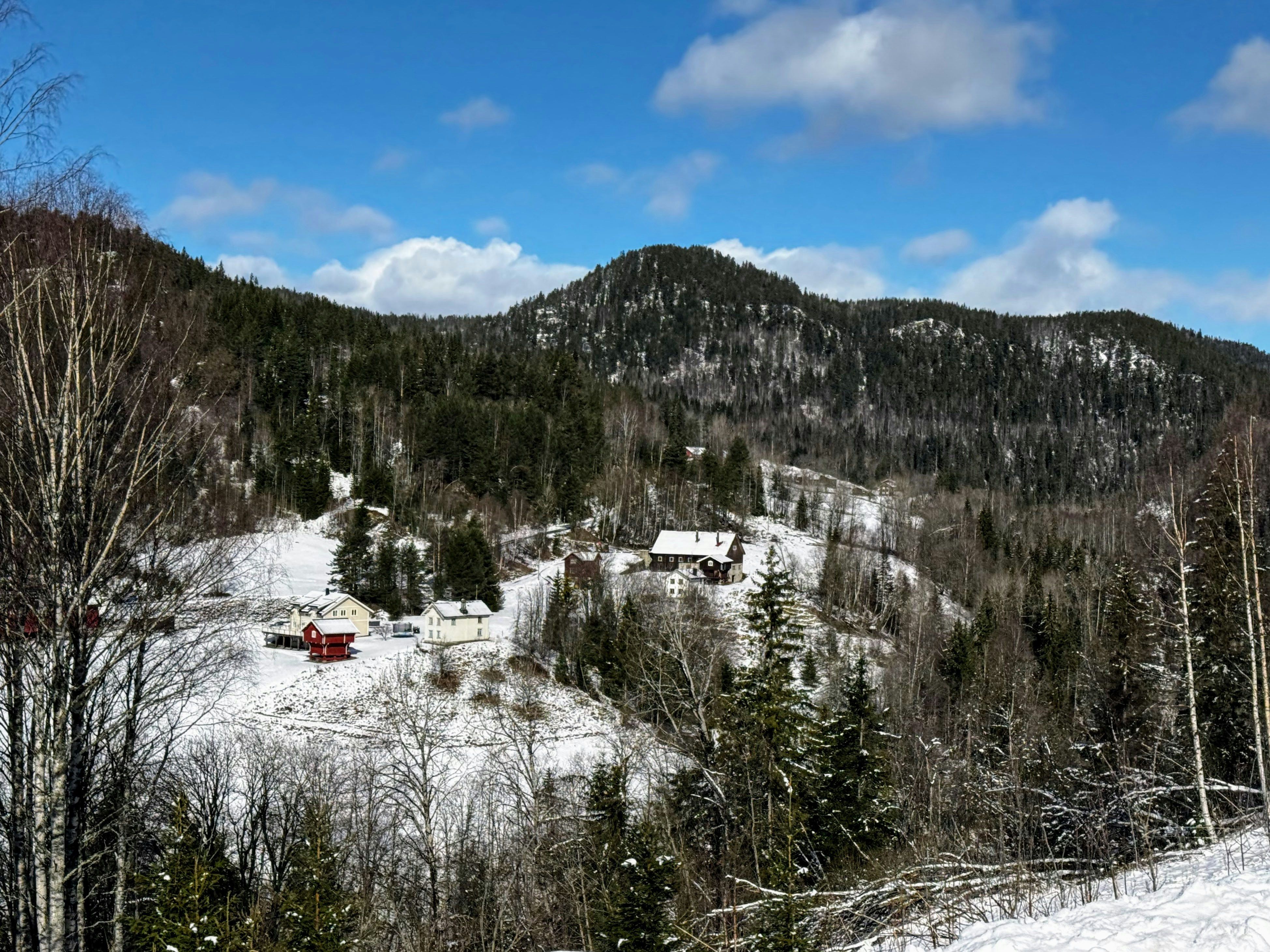 Snow-dusted village nestling in a pine-swept valley