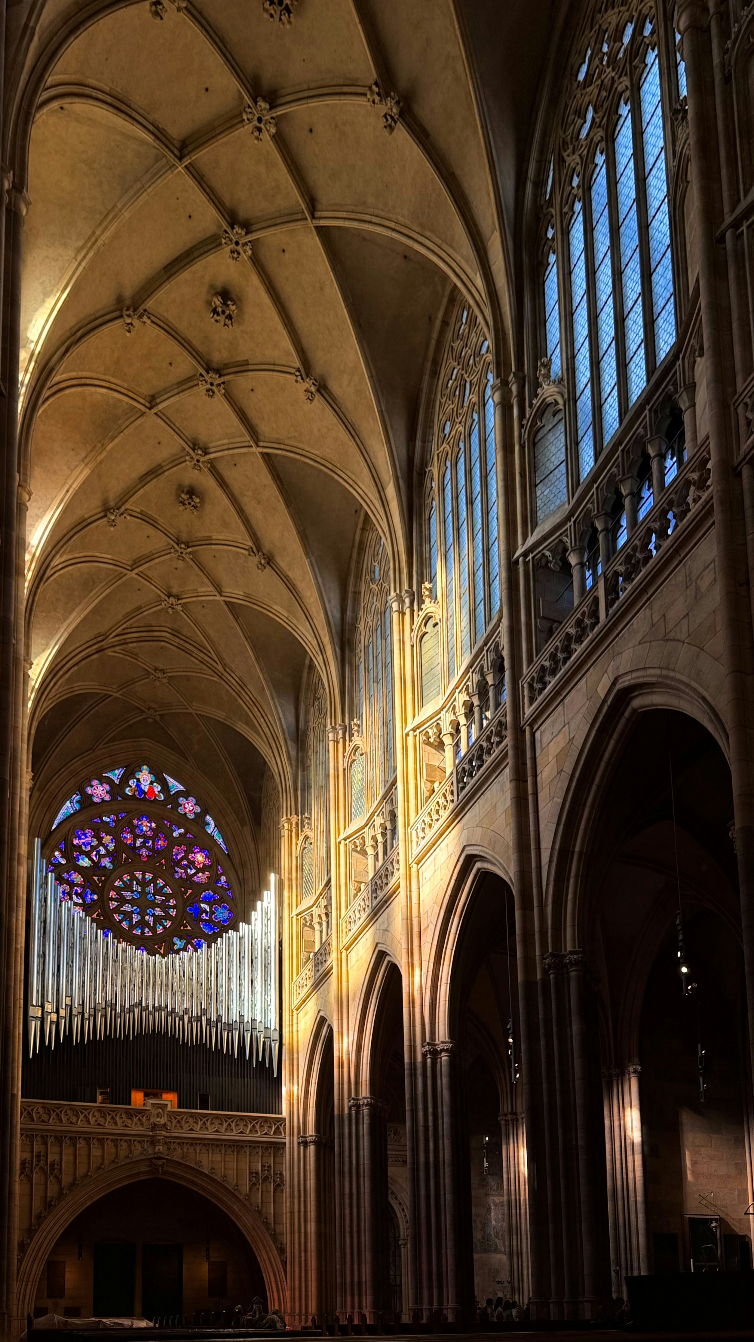 Gothic Vaults and Rose Window Bathed in Cathedral Light