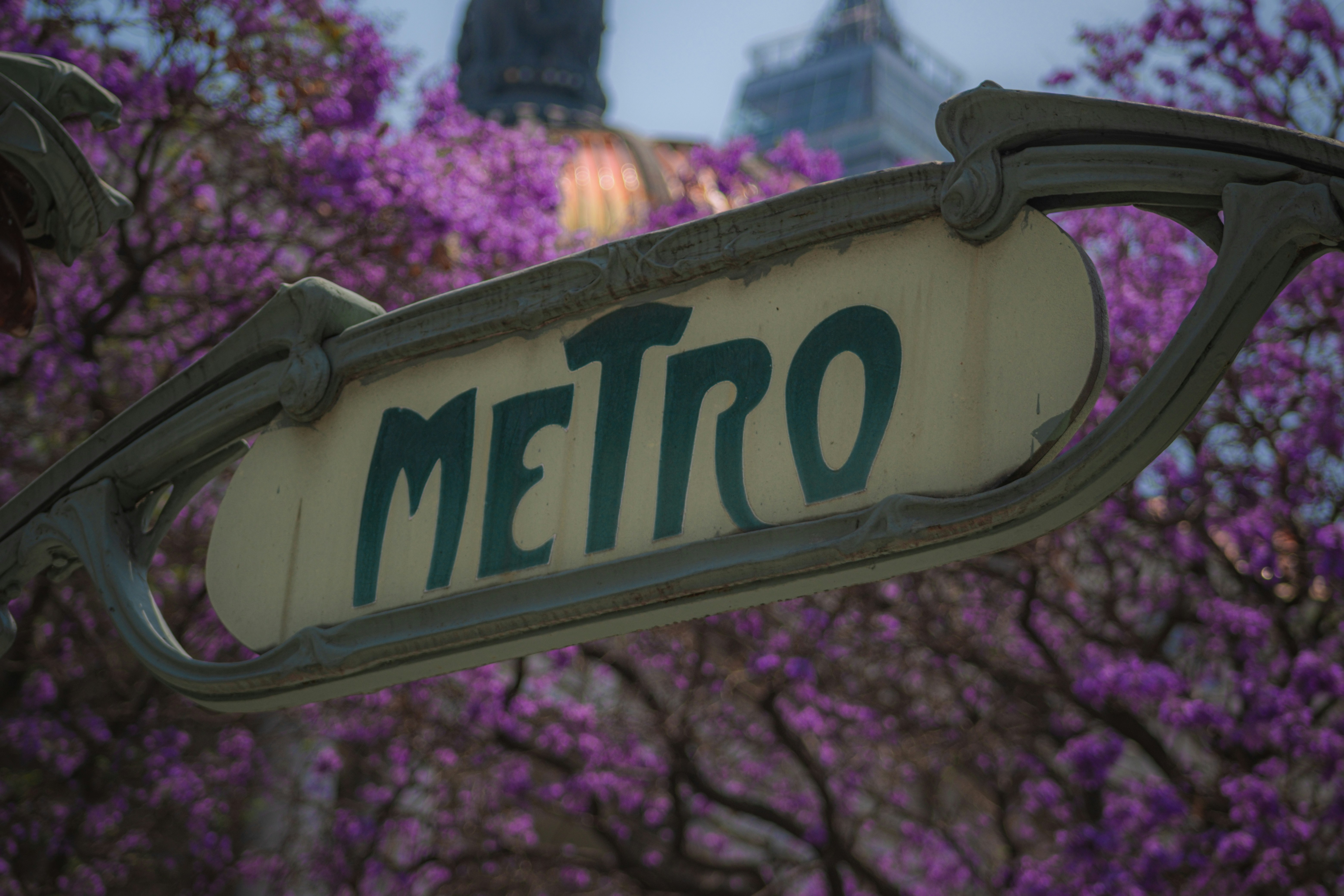 Metro Sign Framed by Spring Purple Bloom
