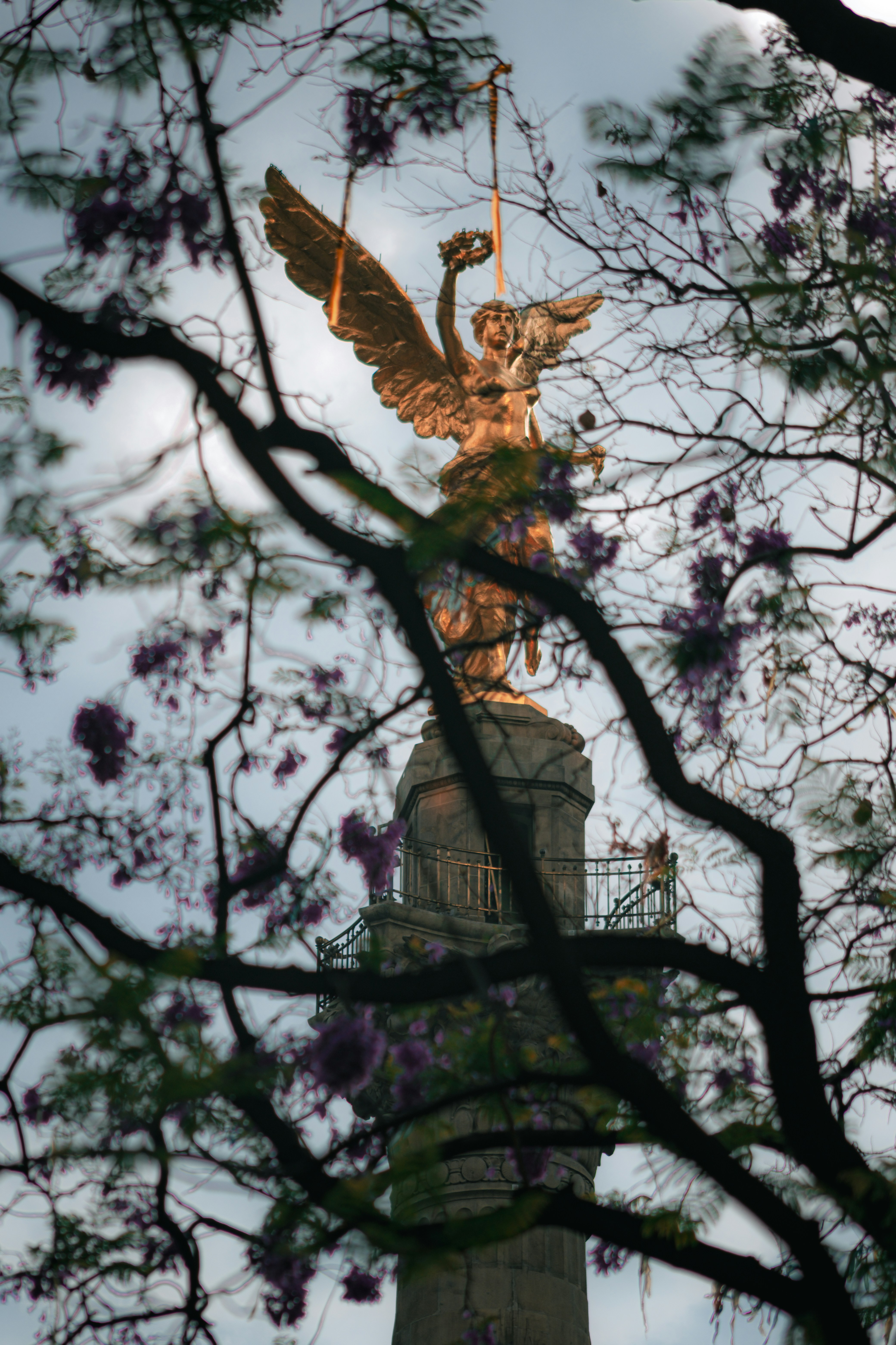 Winged Honor Above the City: The Angel Statue Through Floral Veil